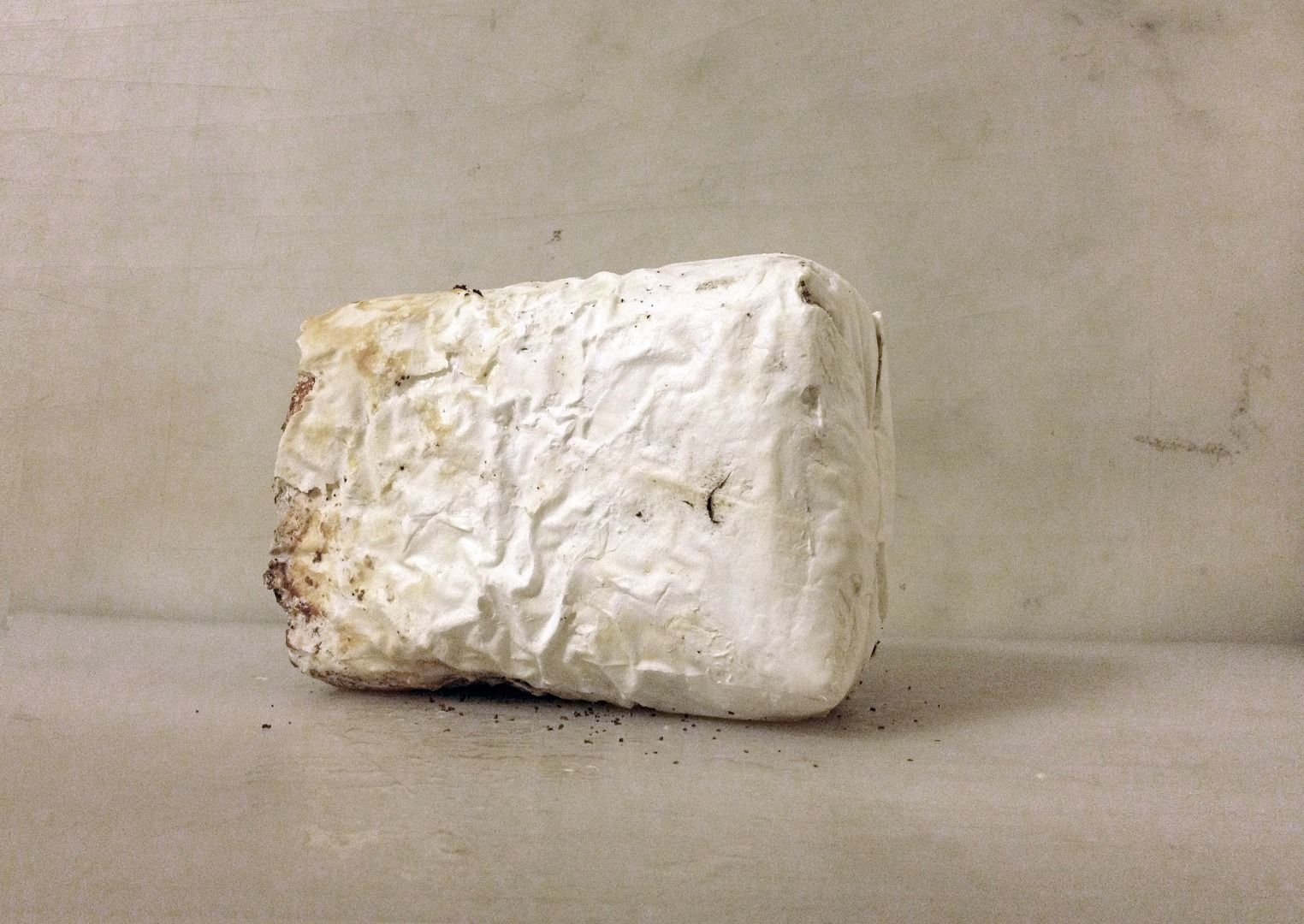 Grow Architectural Models With Mushrooms : 10 Steps (with Pictures ...