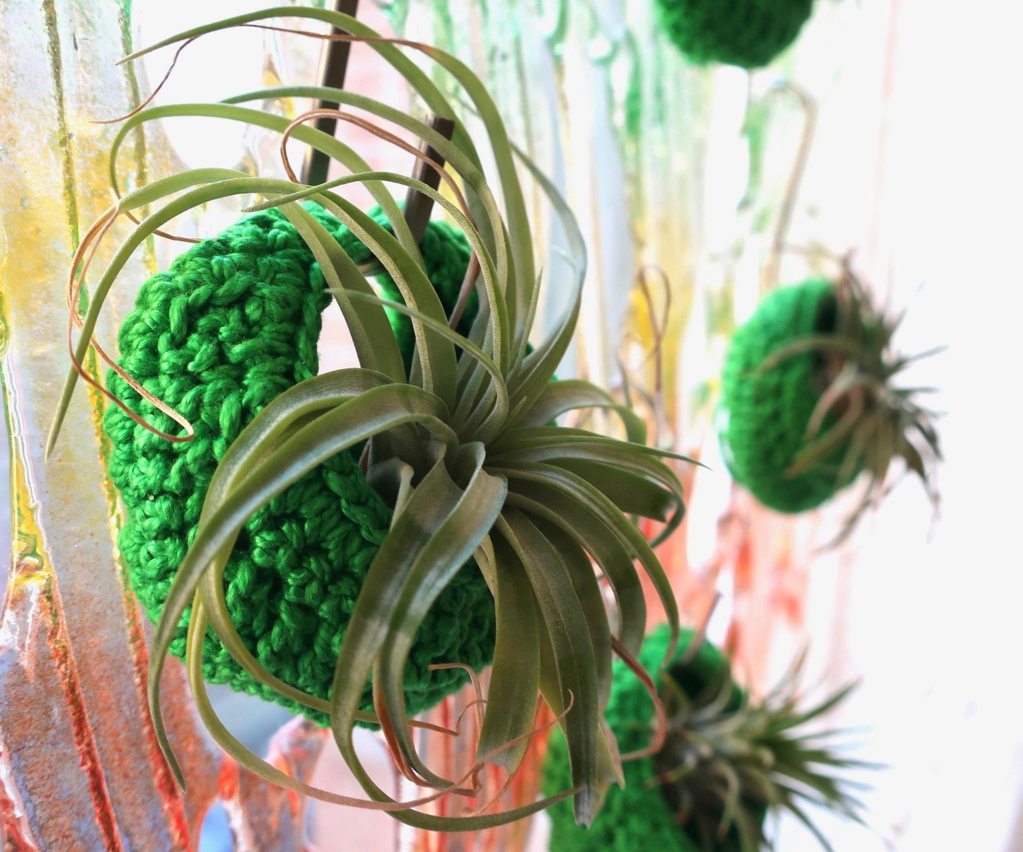 How to Crochet Air Plant Pods : 15 Steps (with Pictures) - Instructables