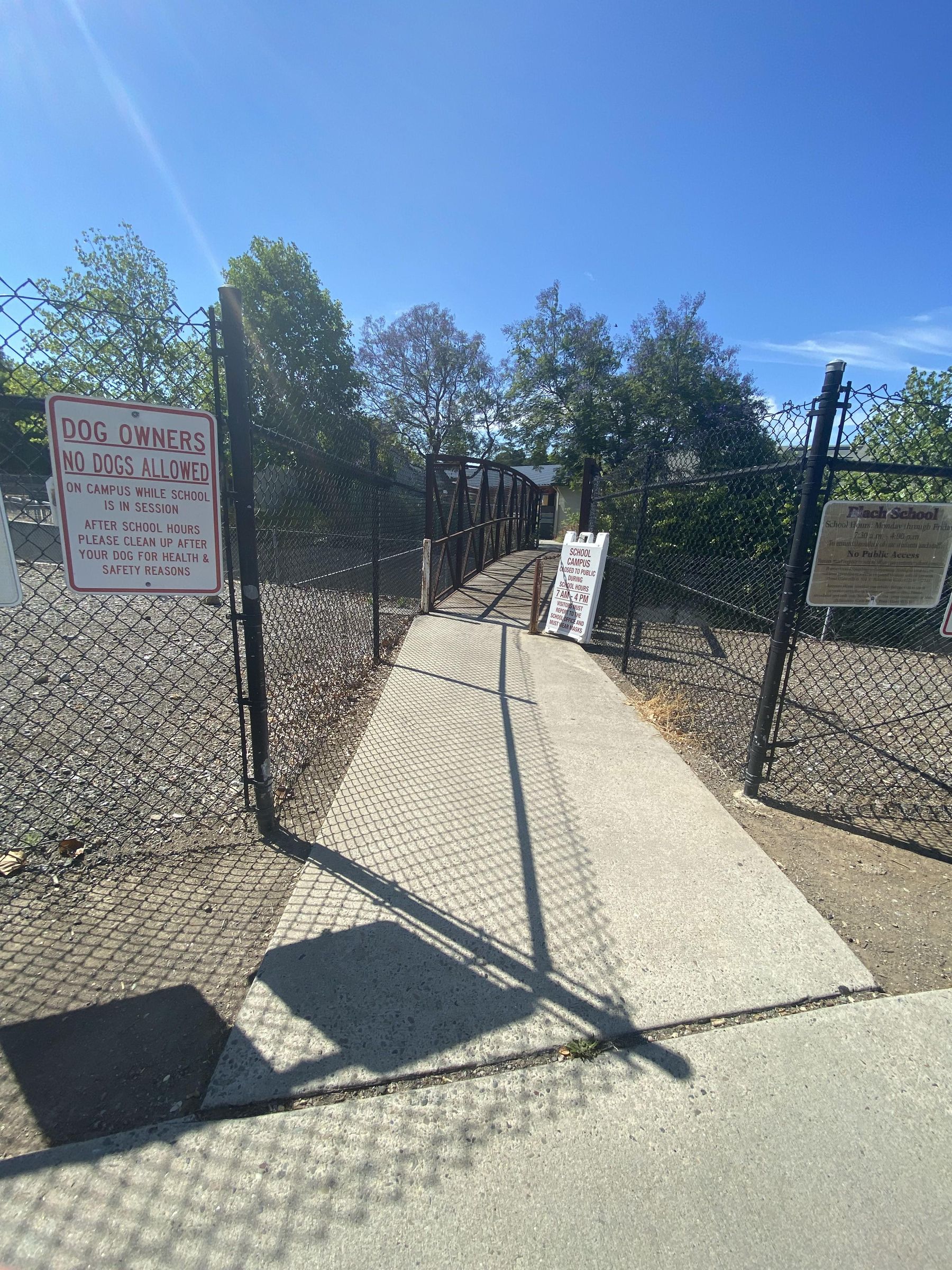 Bridging Boundaries: Unfolding Beauty in Origami - a Transformative ...