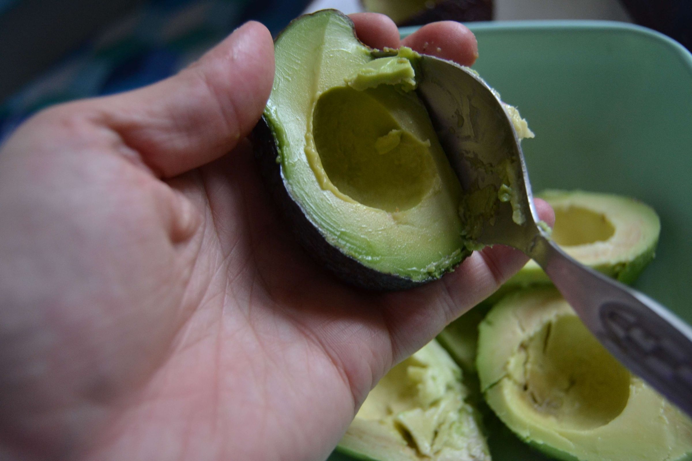 Burrito-buffet With Everything : 9 Steps (with Pictures) - Instructables