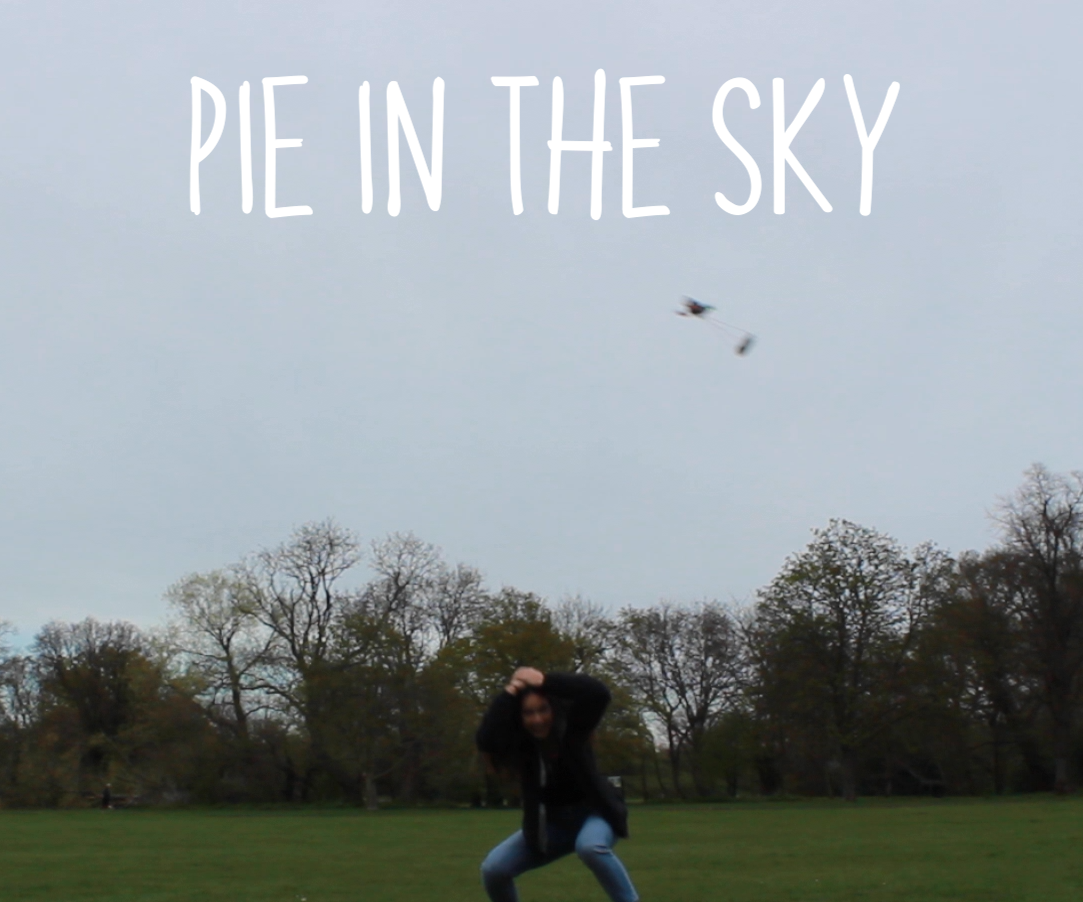 Pie in the Sky : 13 Steps (with Pictures) - Instructables