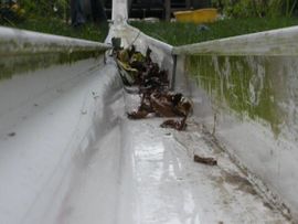 Tsunami Model : 5 Steps (with Pictures) - Instructables