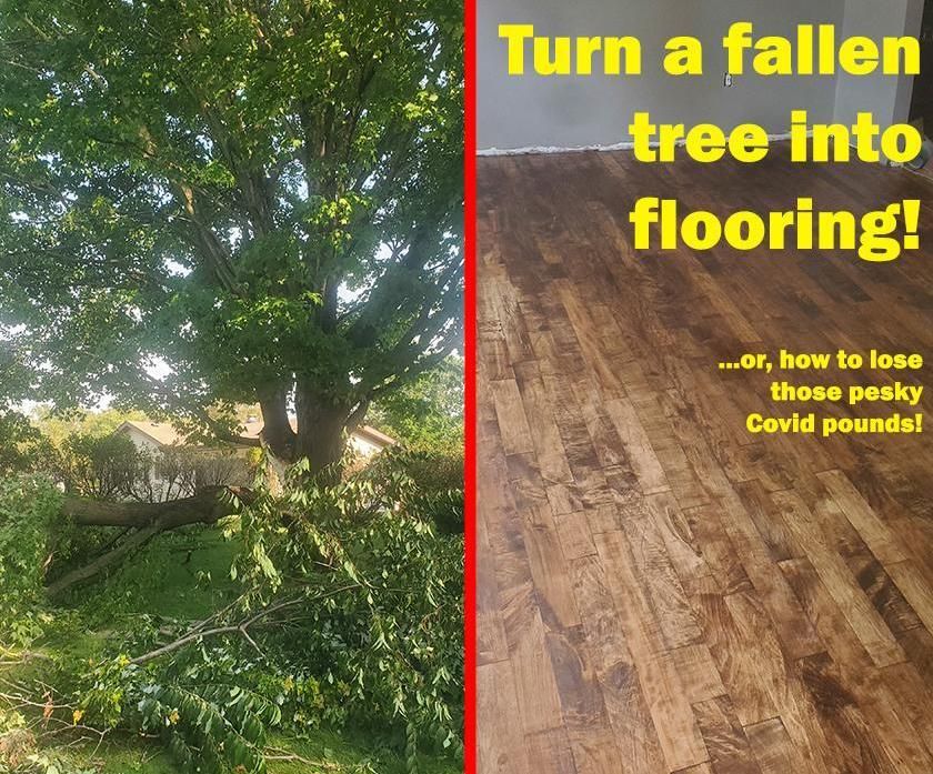 Make Hard Wood Floors From a Tree : 10 Steps (with Pictures ...