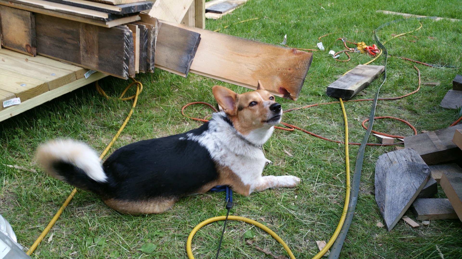 Build a Portable Rough-Sawn Shed : 15 Steps (with Pictures) - Instructables