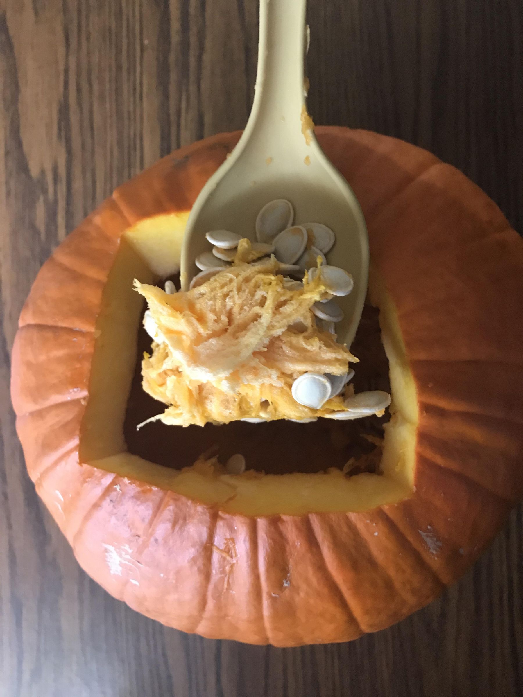 Pumpkin Video Projector : 6 Steps - Instructables