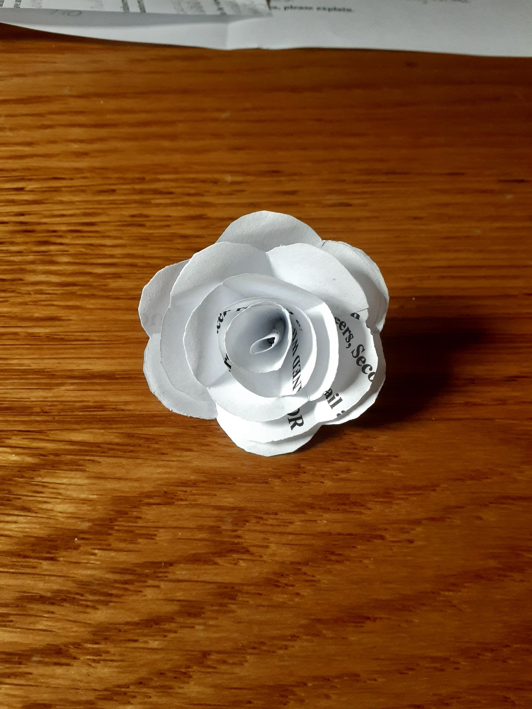 How to Make Real Looking Paper Roses : 7 Steps (with Pictures ...