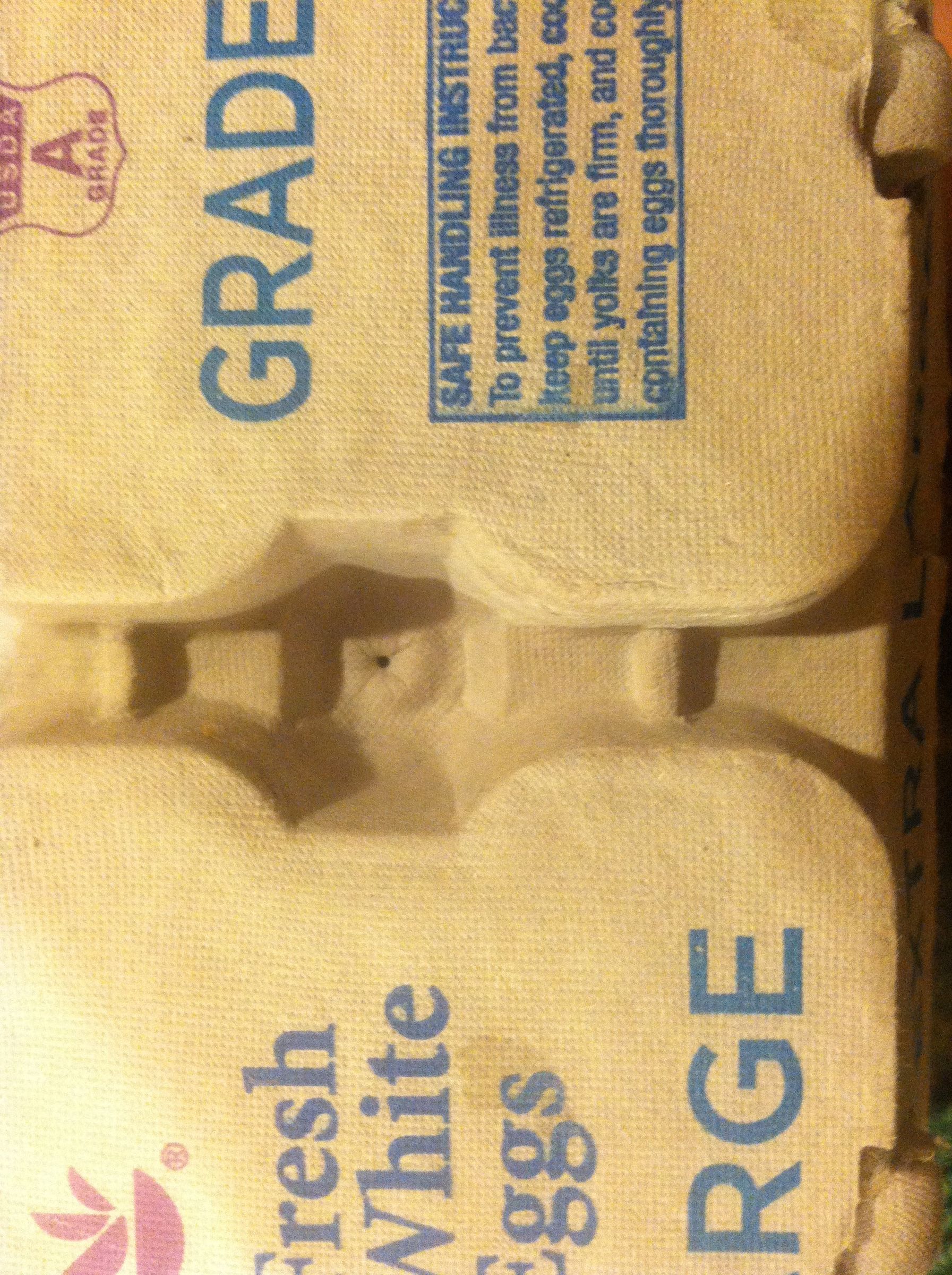 Egg Carton Mobile : 5 Steps - Instructables