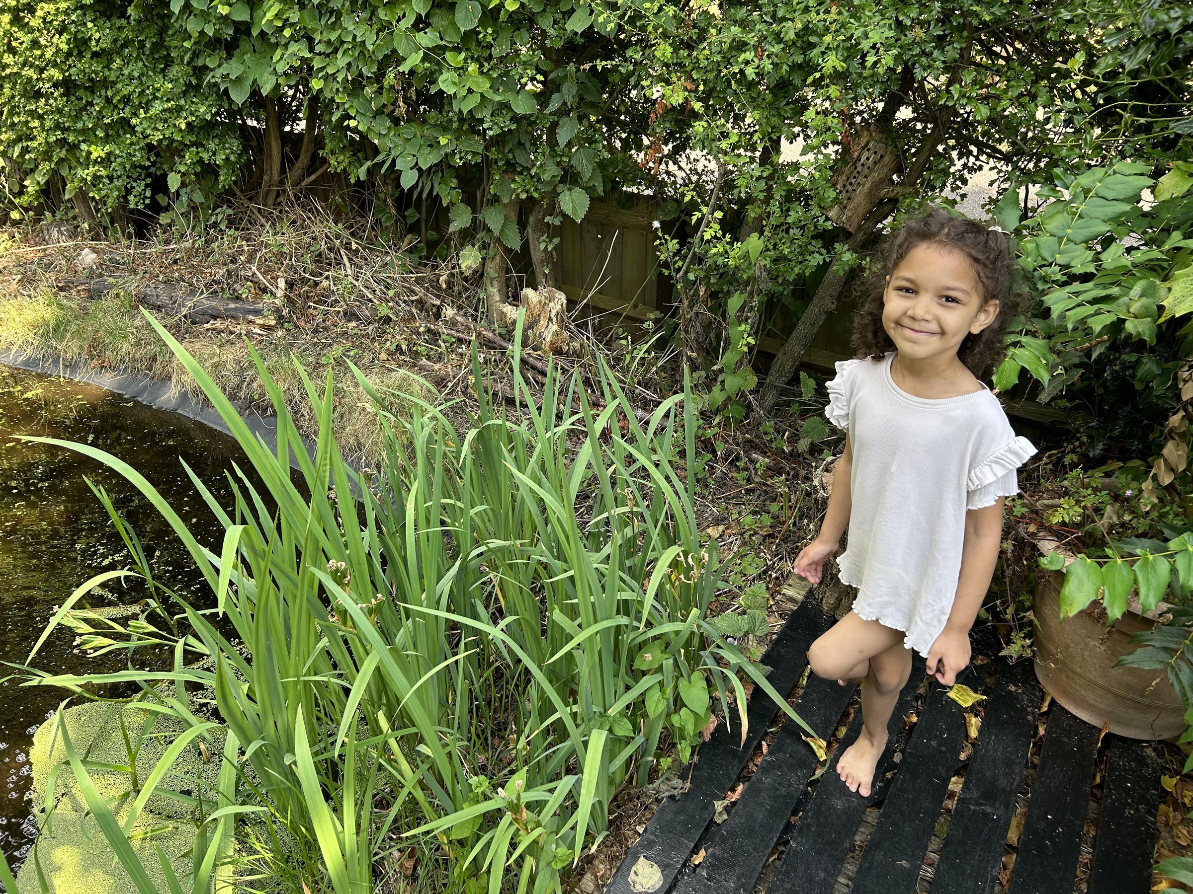 A Wild Pond Teeming With Plants, Insects and Newts : 5 Steps (with ...