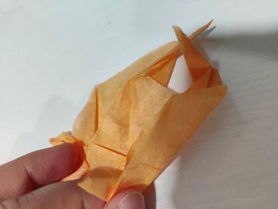 Origami Koi Fish : 22 Steps - Instructables