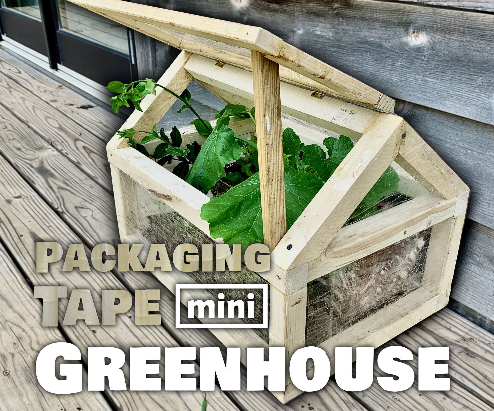 Mini Packaging Tape Greenhouse : 15 Steps (with Pictures) - Instructables