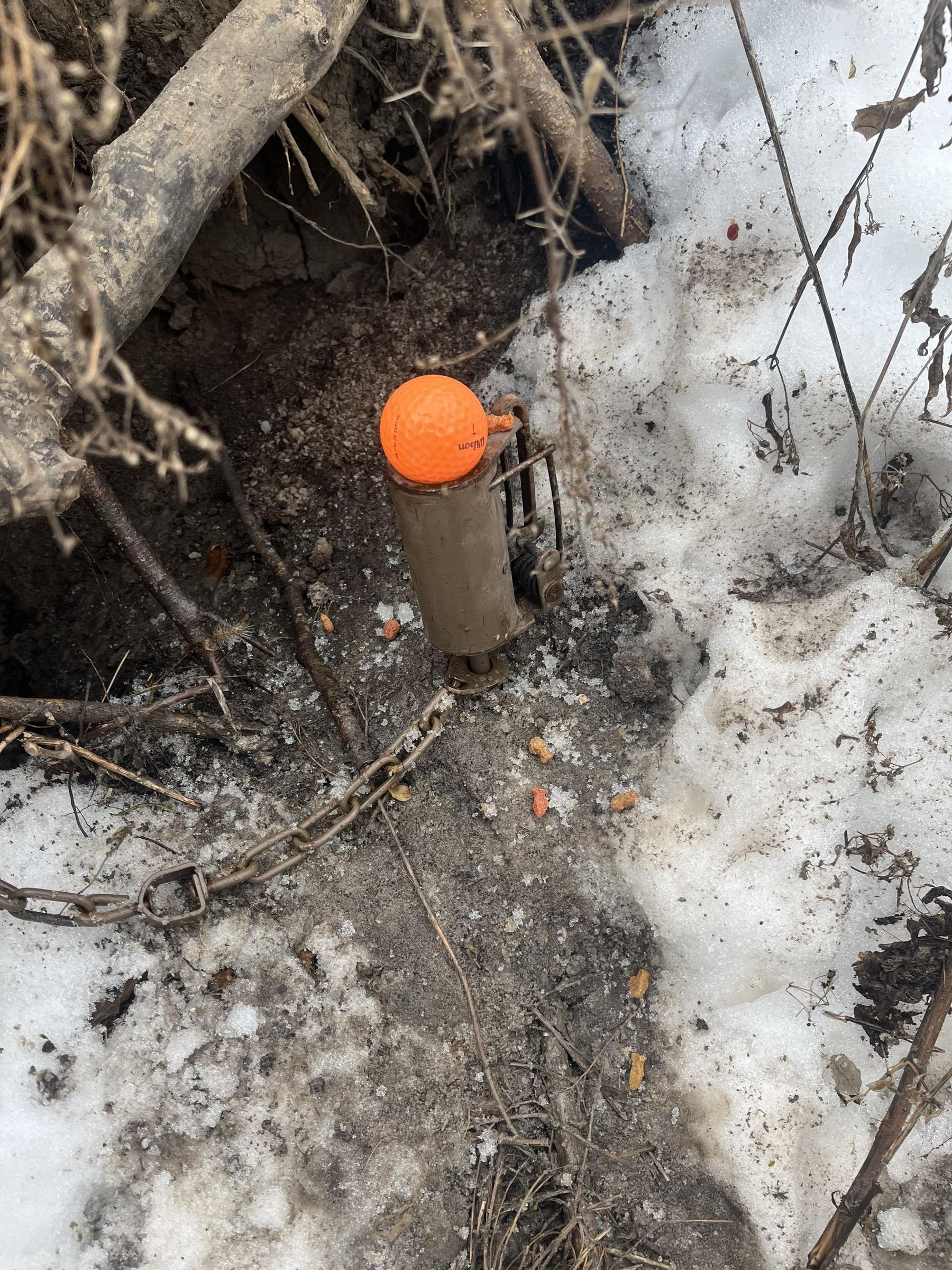 Trapping 101 : 4 Steps - Instructables