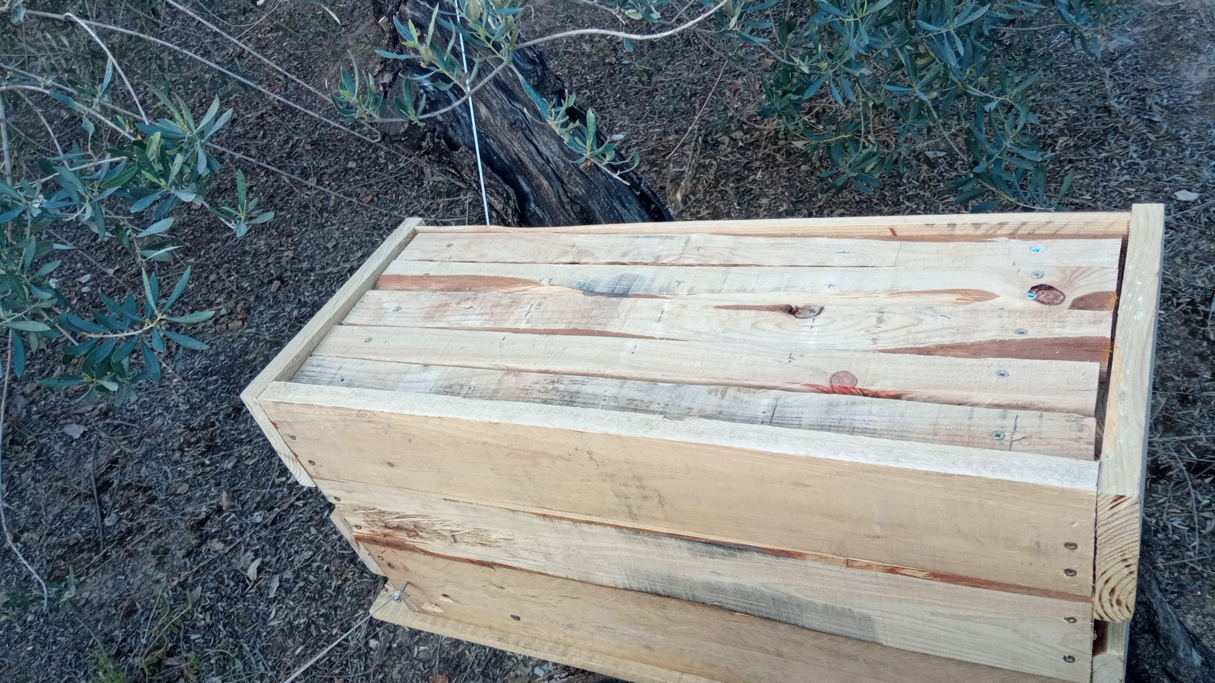 Nuc Beehive Box From Pallet Timber : 4 Steps (with Pictures ...