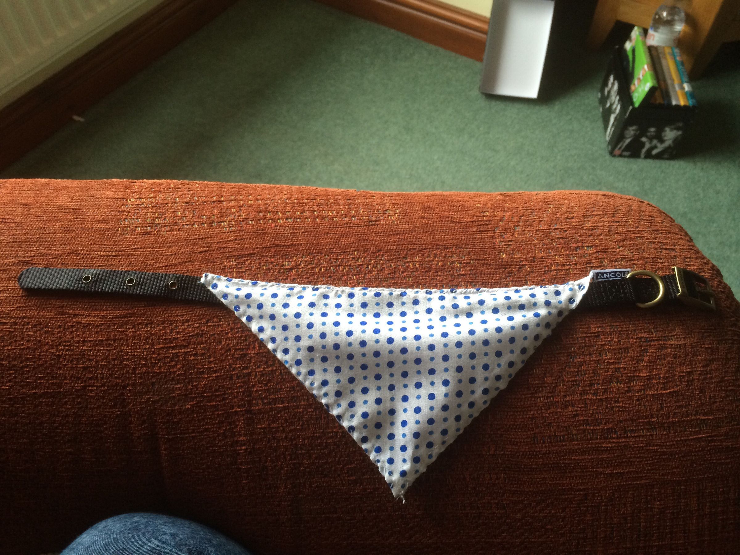 Dog Collar Neckerchief : 6 Steps (with Pictures) - Instructables