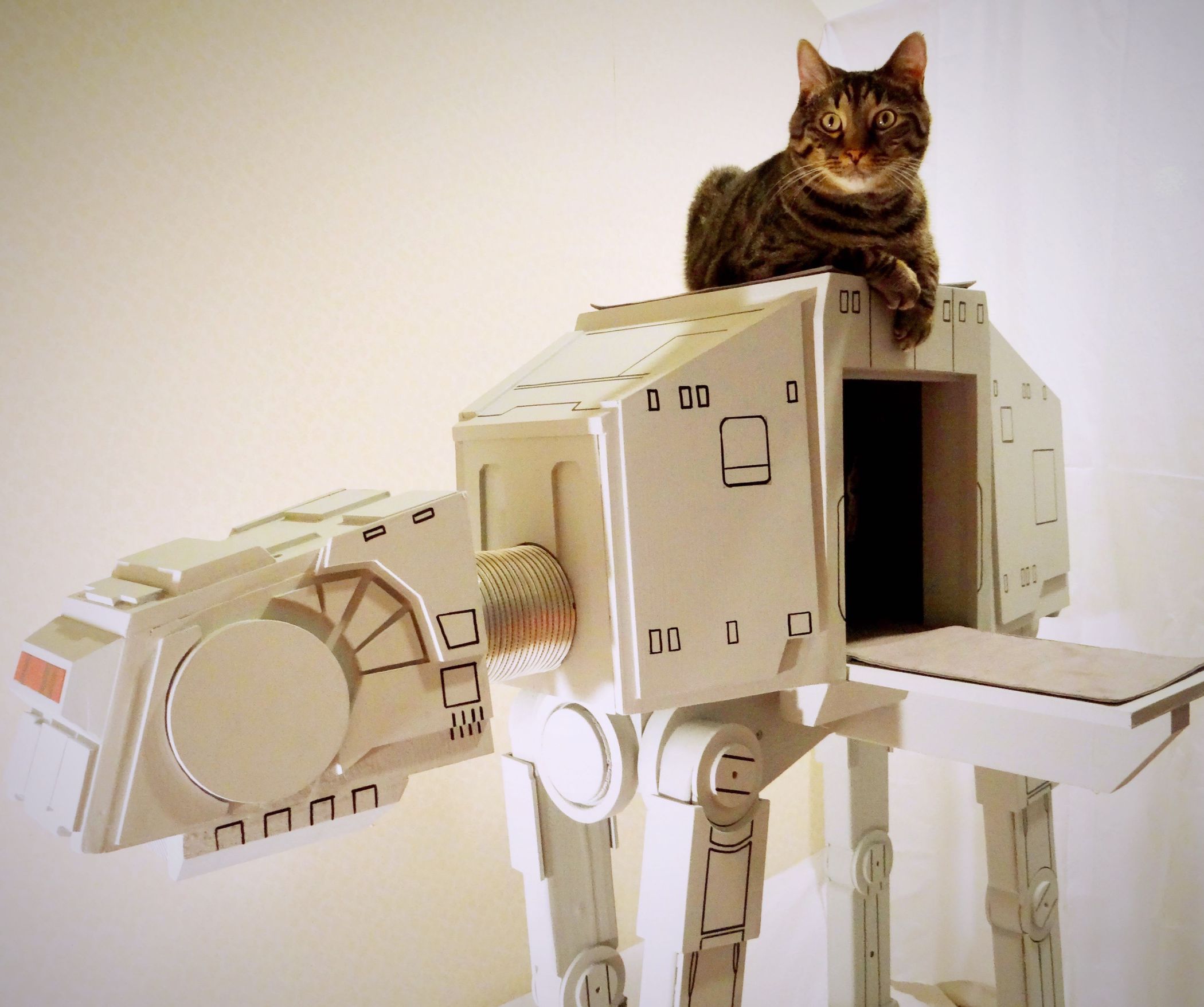 CAT-CAT : 13 Steps (with Pictures) - Instructables