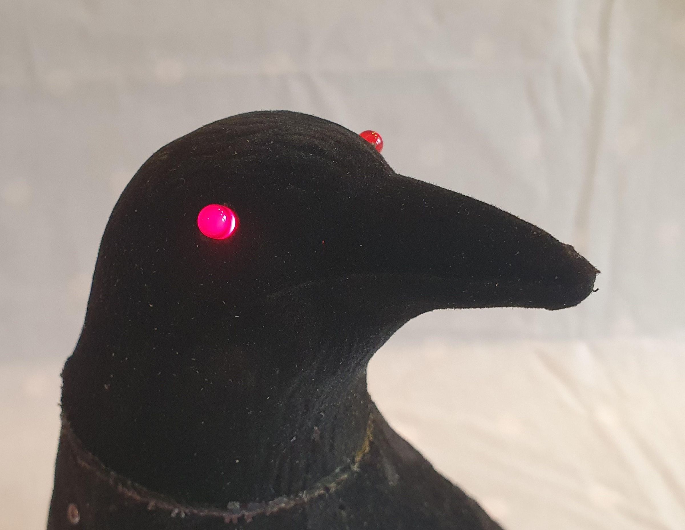 Raven Pi Security Camera : 7 Steps (with Pictures) - Instructables