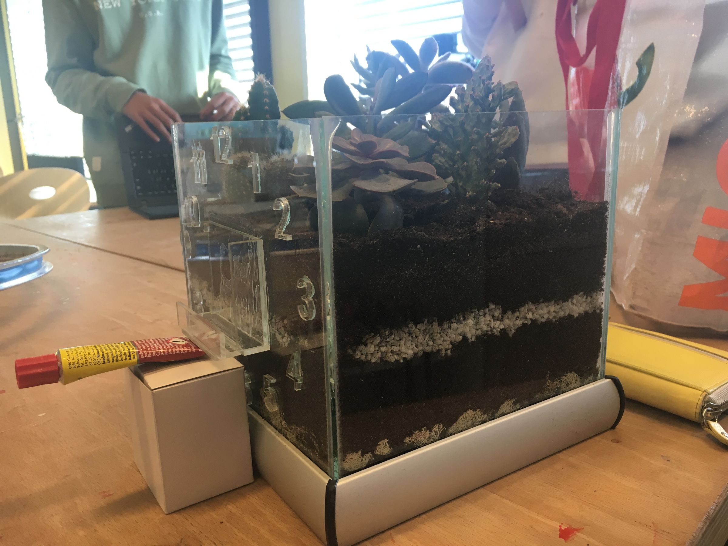 Terrarium Clock : 6 Steps (with Pictures) - Instructables