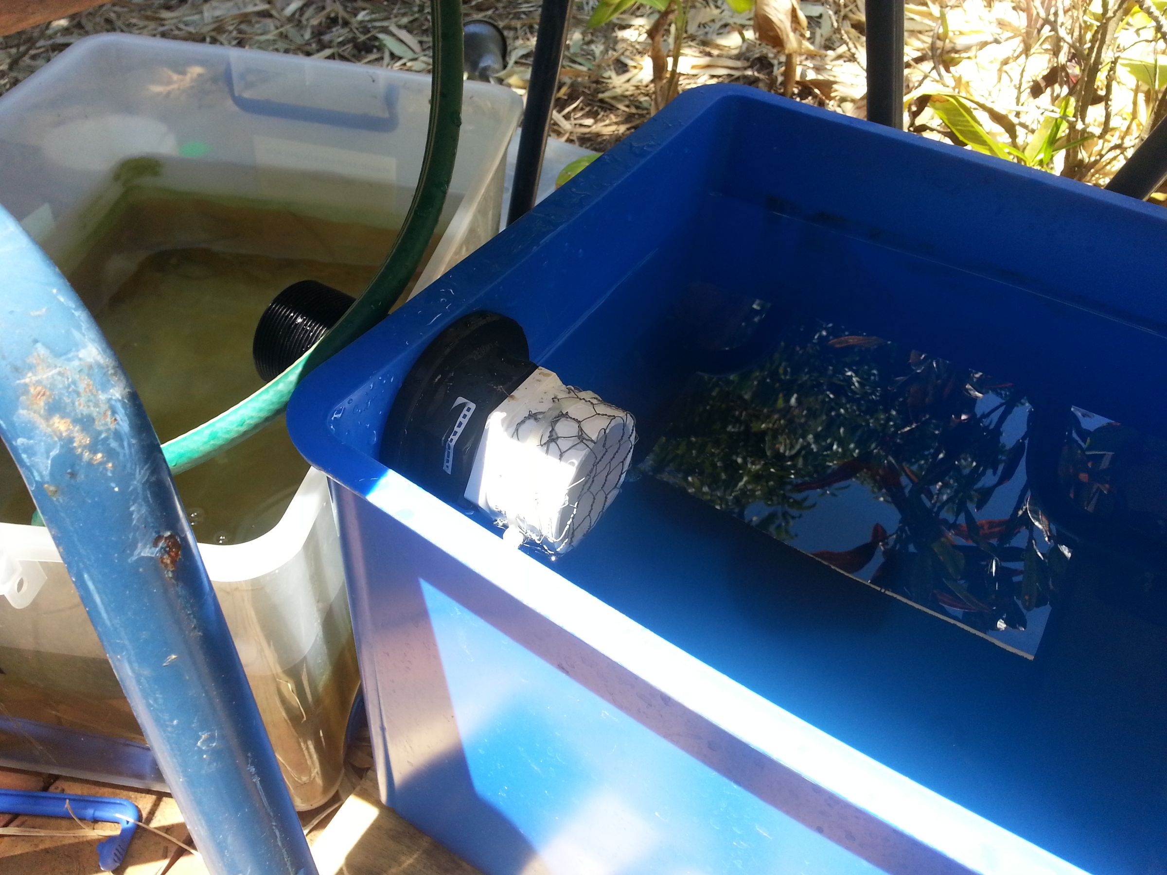 Simple Arduino Controlled Aquaponic System : 8 Steps - Instructables