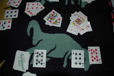 Squeal (a Card Game) : 10 Steps - Instructables