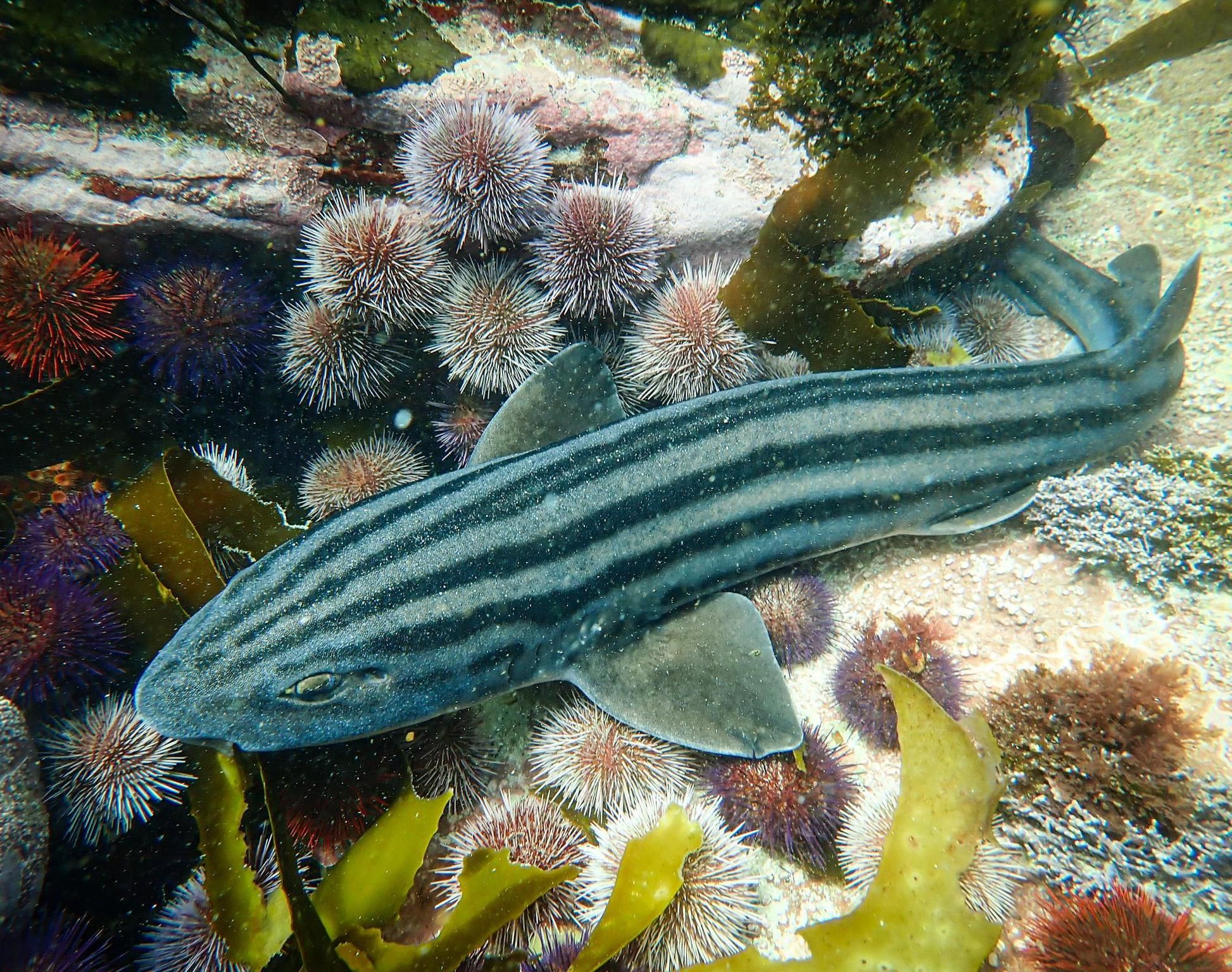 Designing and Testing a 7055 Aluminum Alloy : 7 Steps - Instructables