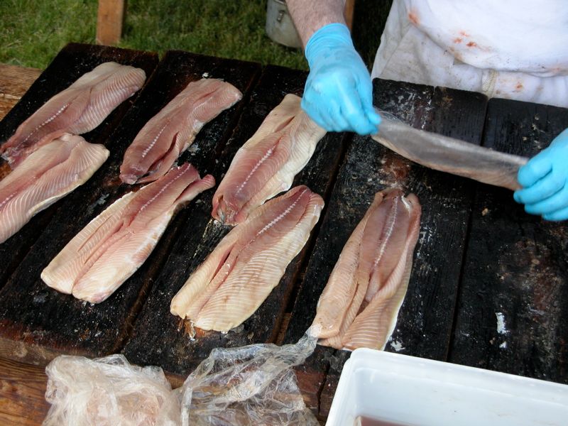 Shad Fish Recipes