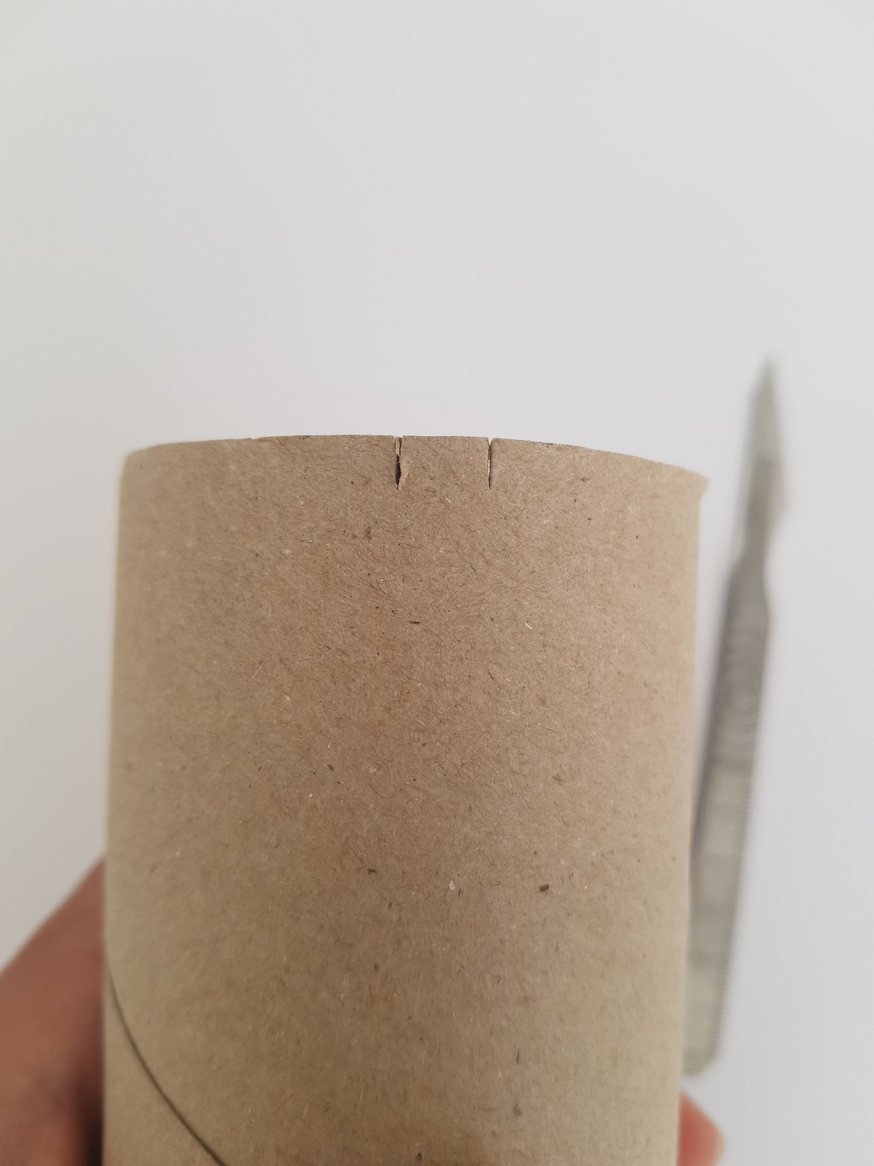 Seed Launcher : 9 Steps - Instructables