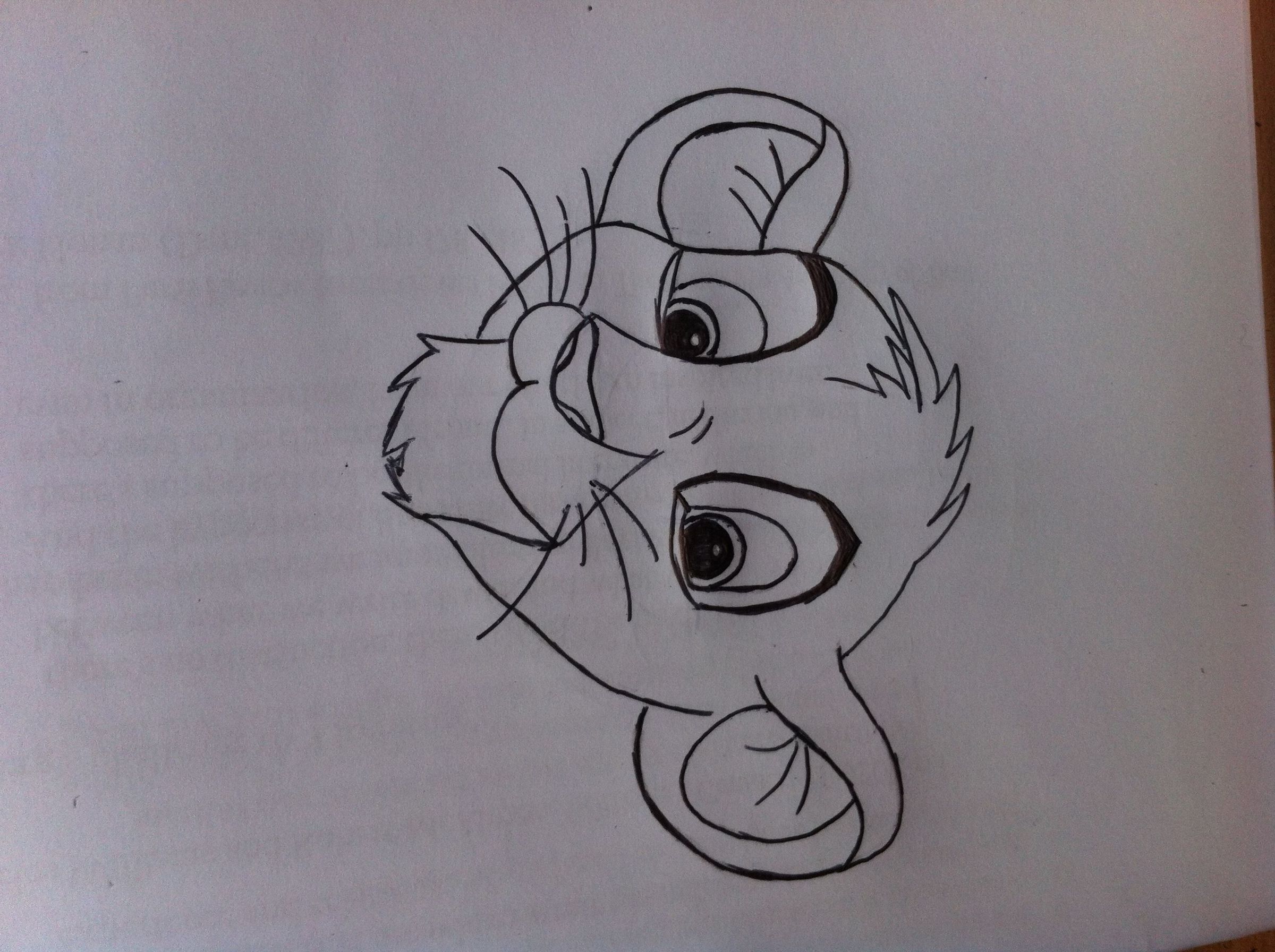 How to Draw Simba : 19 Steps - Instructables