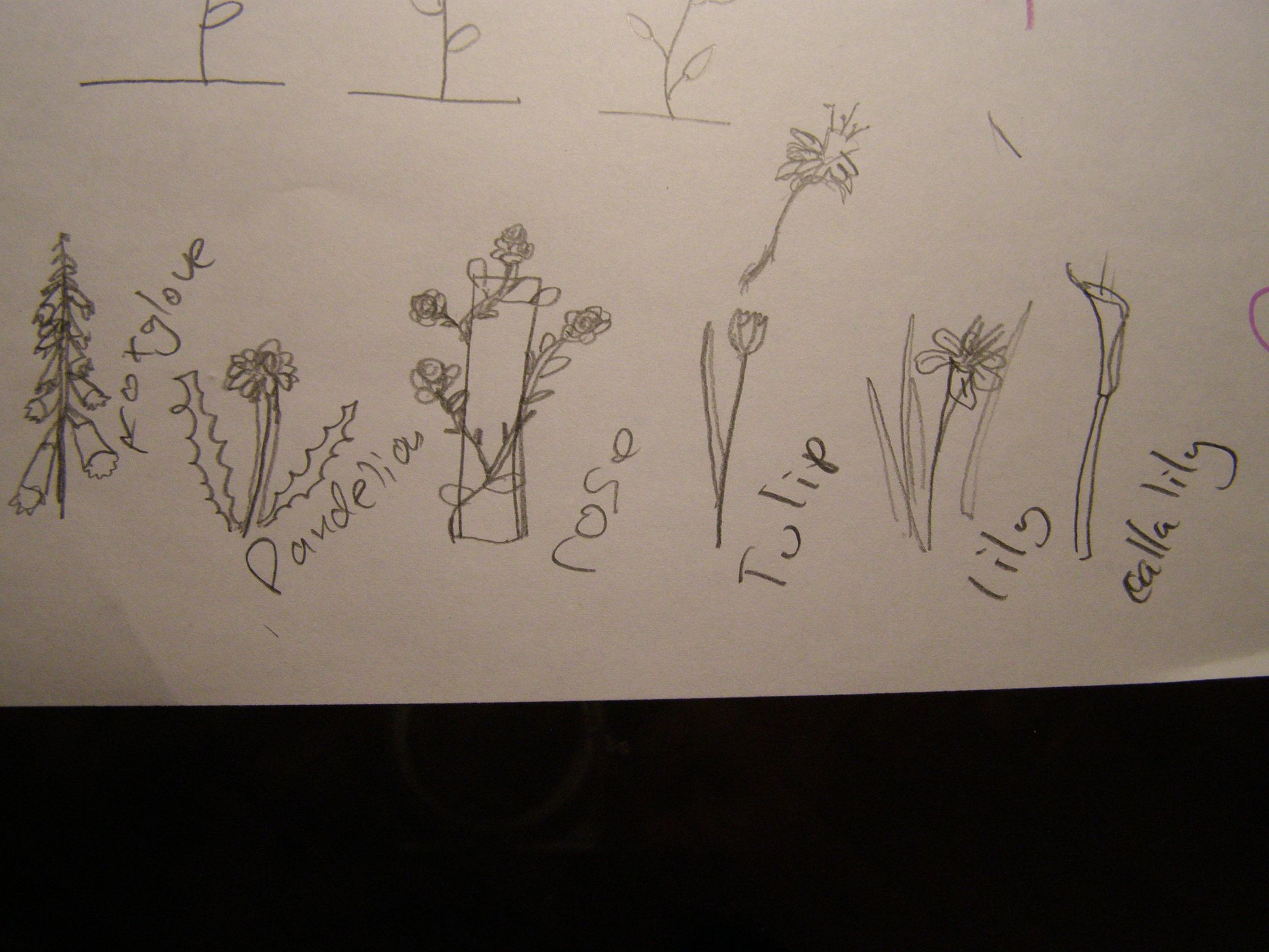 How to Draw Flowers : 6 Steps - Instructables