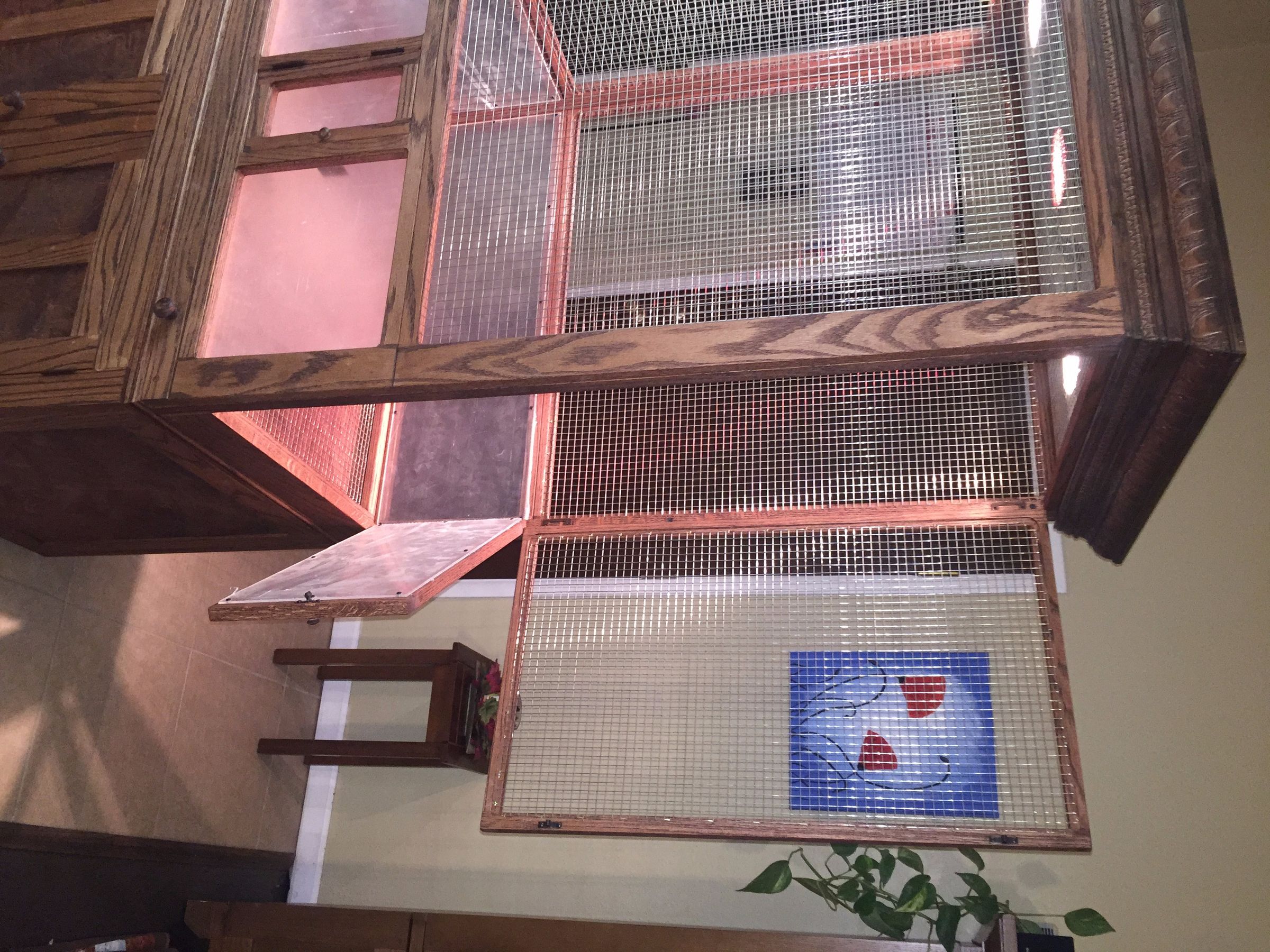 Christy's Display Cage and Cabinet : 4 Steps - Instructables