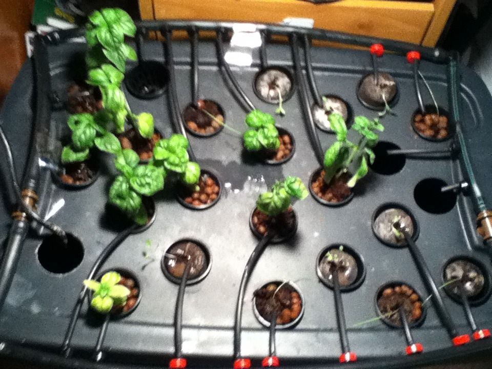 Awesome Hydoponic Drip System : 11 Steps - Instructables