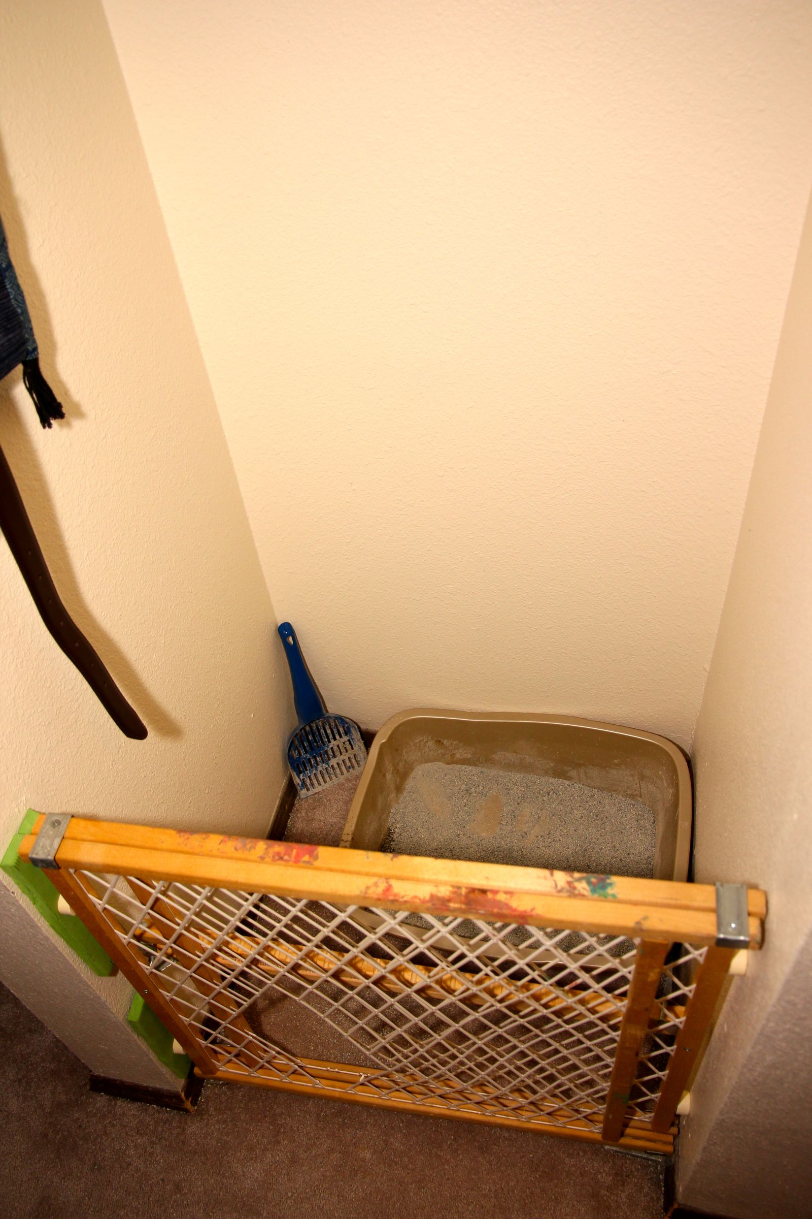 Litter Box Protection With Baby Gate and Cat Door - Instructables