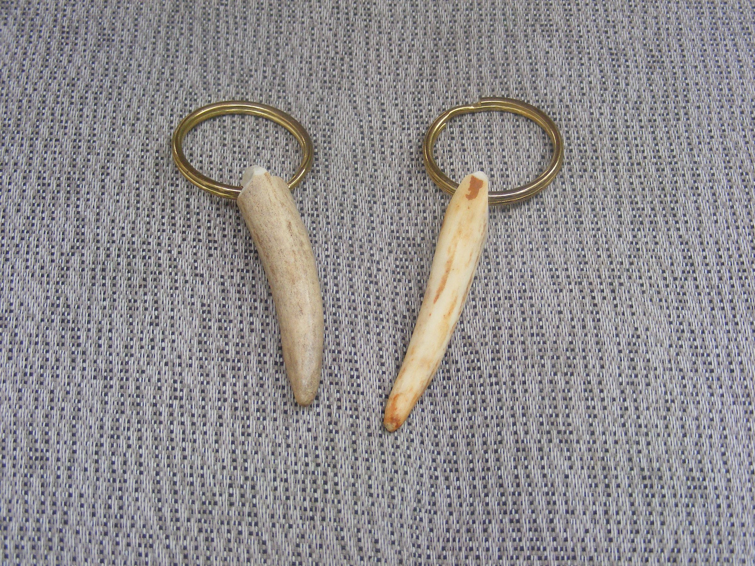 Crafting With Deer Antler : 11 Steps (with Pictures) - Instructables