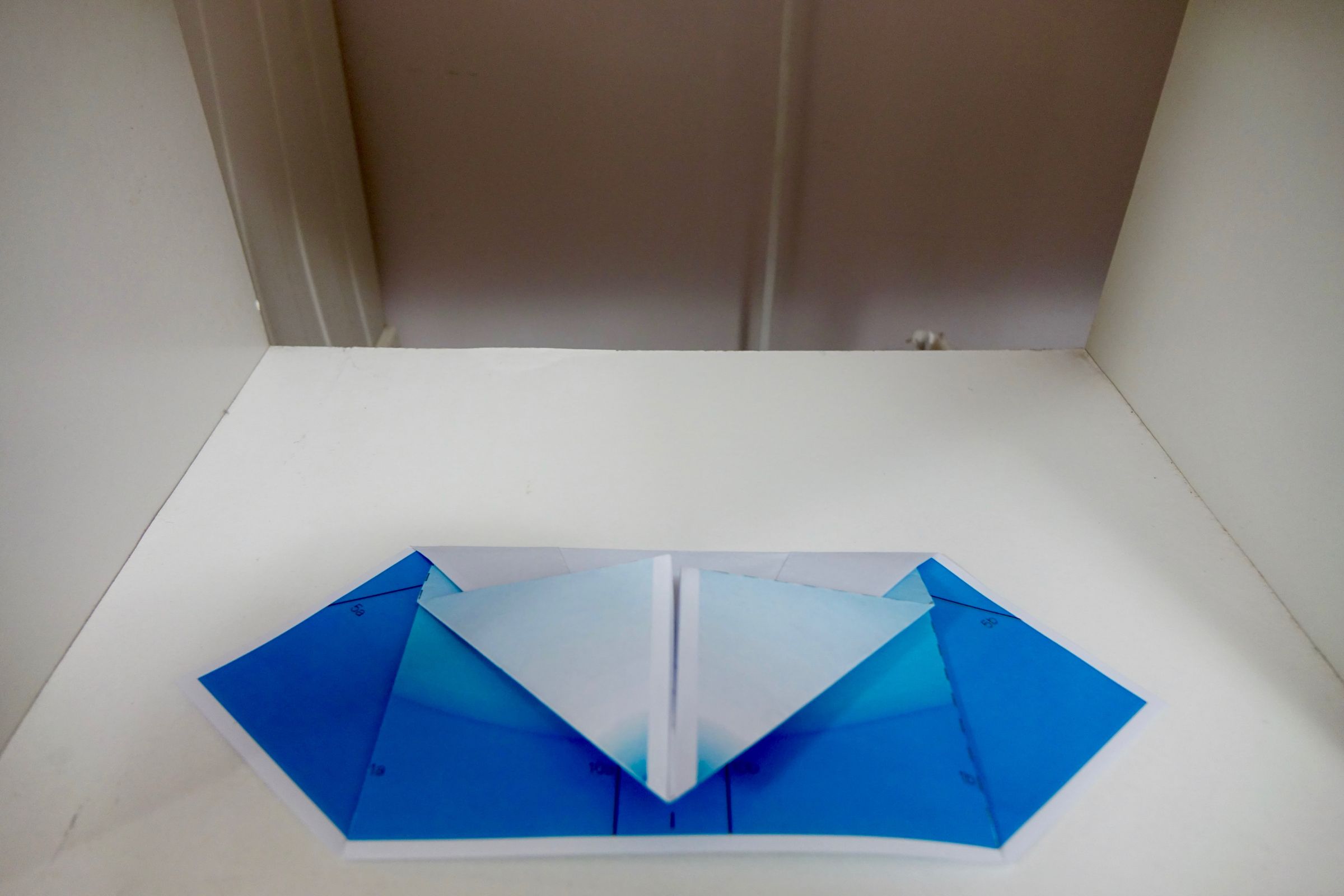 Flapping Paper Plane (Print Version) : 15 Steps (with Pictures ...