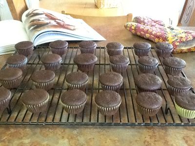 Cockroach Cupcakes (with Pictures) - Instructables