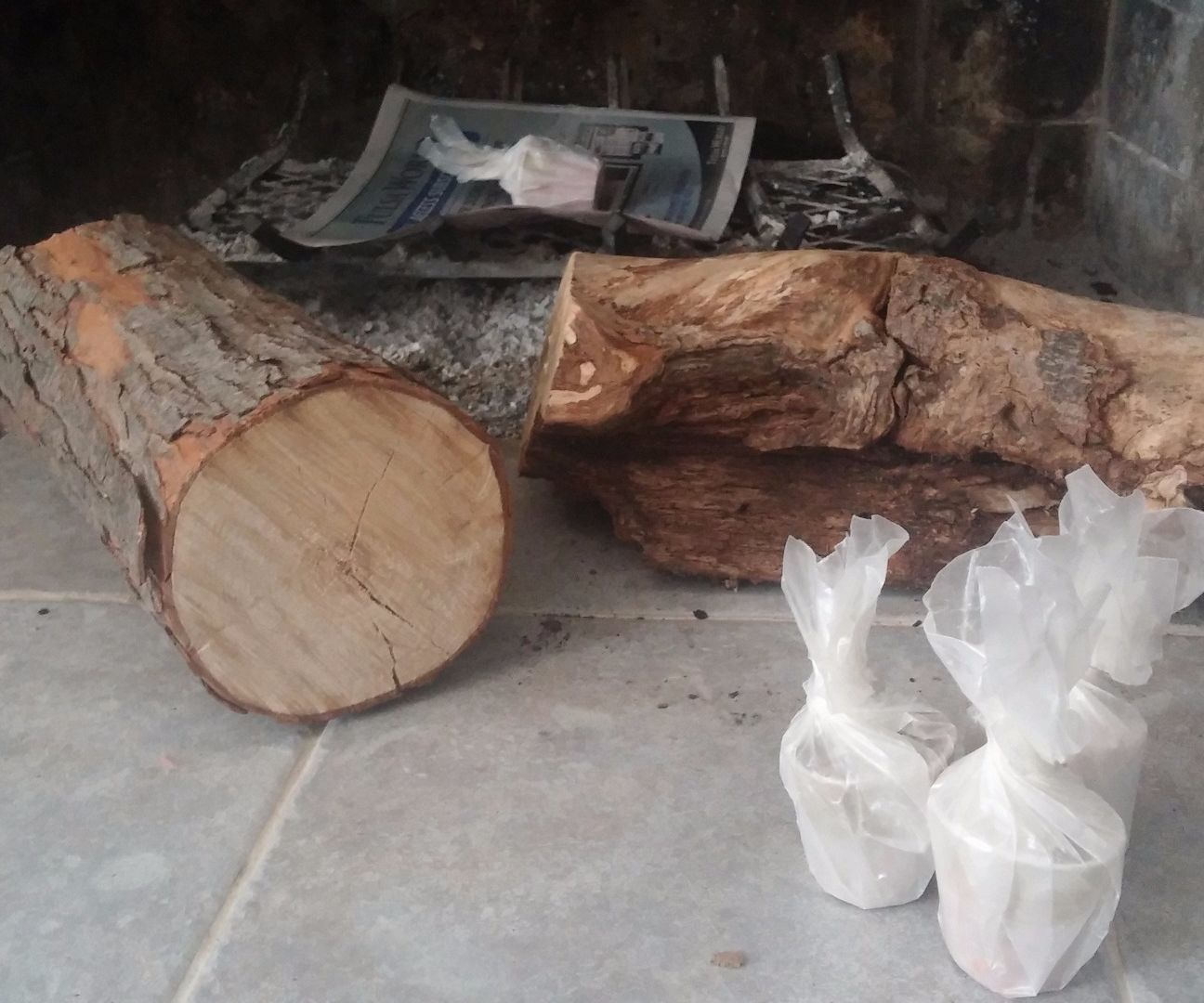 Fire Starters From Household Scraps : 3 Steps (with Pictures ...