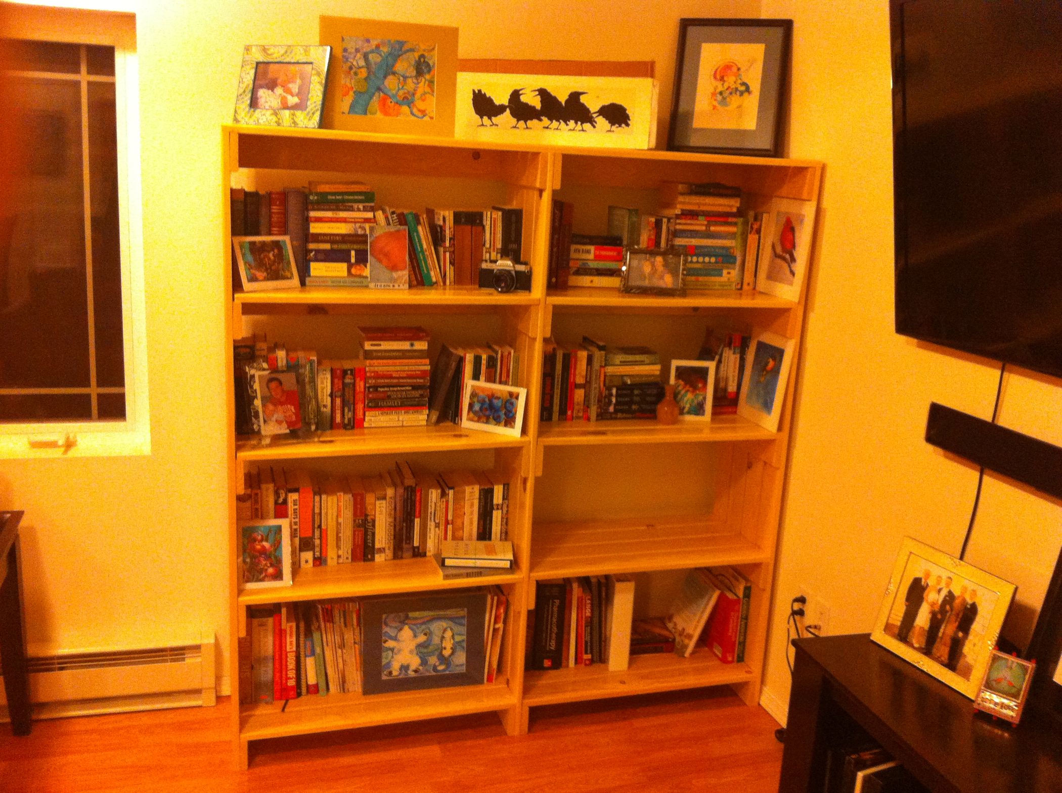 Inexpensive Book Shelf : 4 Steps (with Pictures) - Instructables