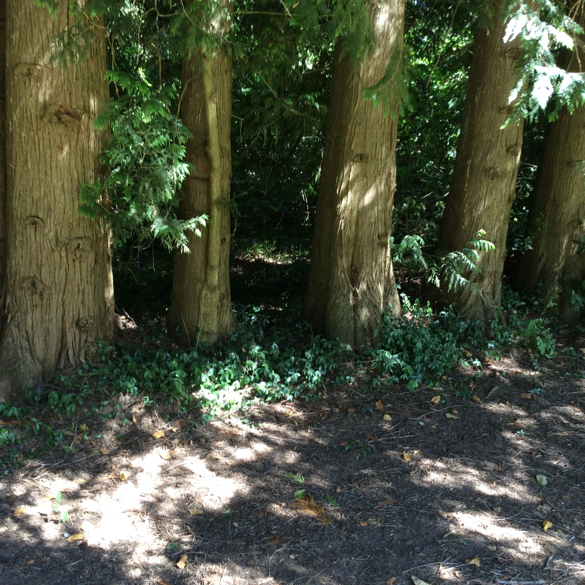 Multi Use Fort / Survival Shelter : 5 Steps - Instructables