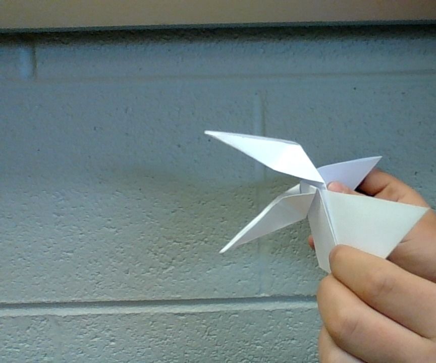 Pecking Crow Origami - Instructable : 10 Steps - Instructables