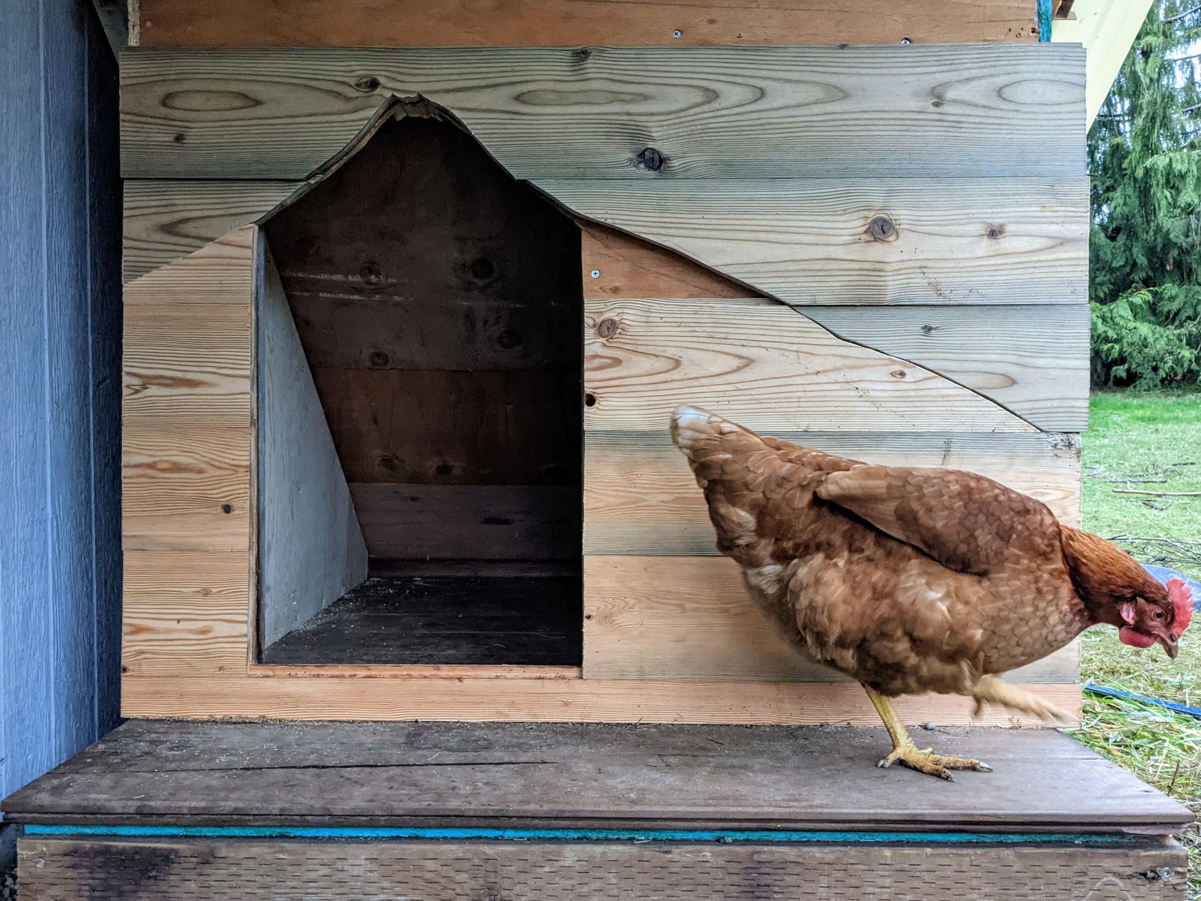 Build a Dog House Using Reclaimed Materials : 4 Steps (with Pictures ...