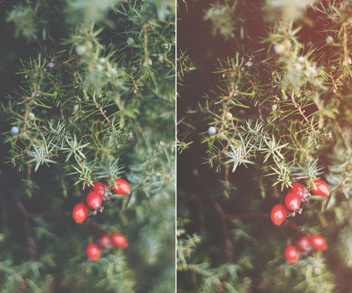 Add a Natural Color Boost in Photoshop : 12 Steps - Instructables