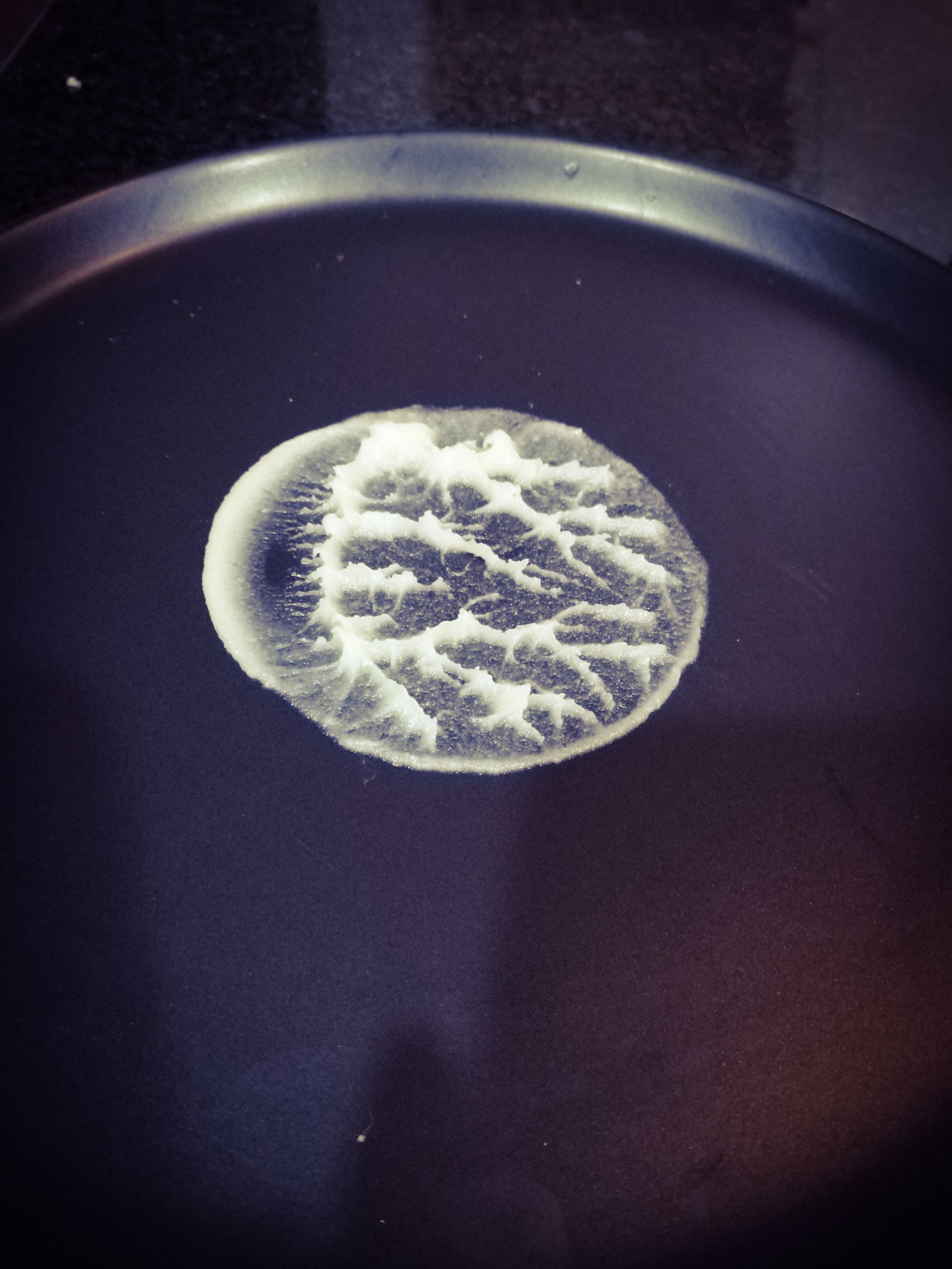 Clear Pie! Best Ever Recipe : 5 Steps (with Pictures) - Instructables