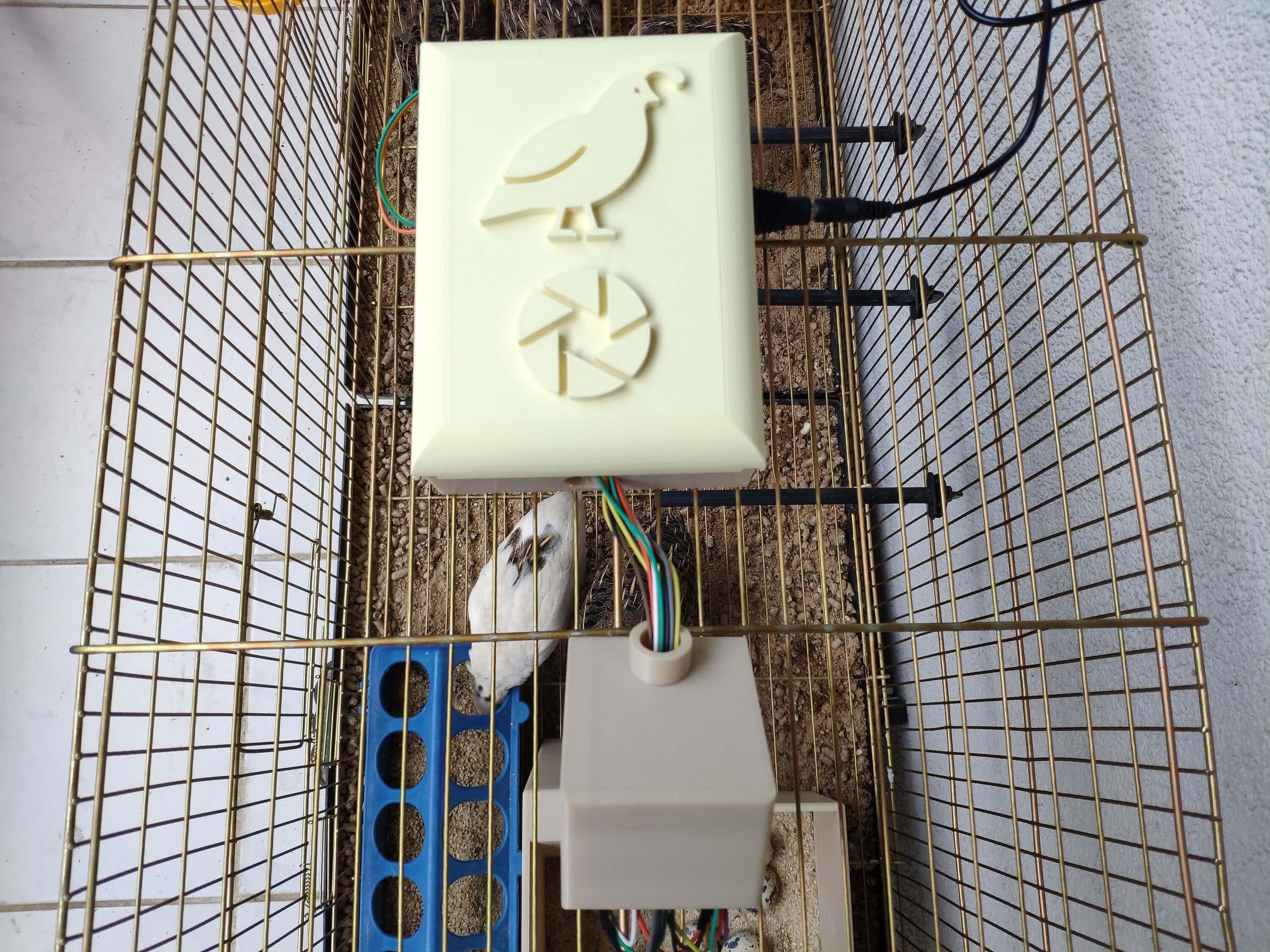 IoT AI-driven Poultry Feeder and Unhatched Egg Tracker W/ WhatsApp : 20 ...