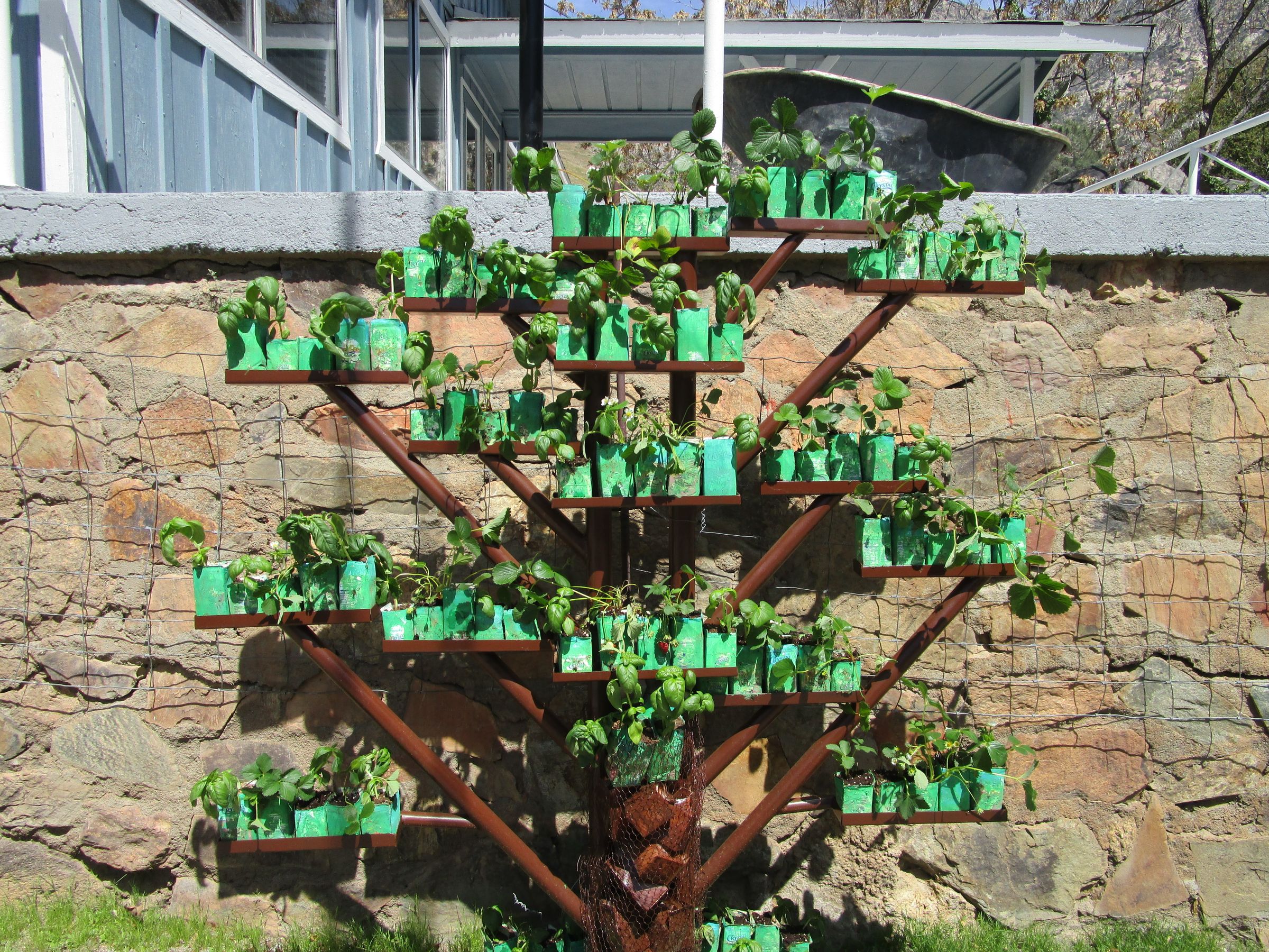 Carton to Garden : 4 Steps - Instructables