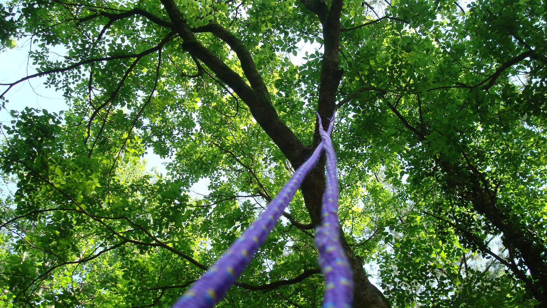 How to Climb a Tree (using Only Rope!) the Fun/simple Way : 6 Steps ...