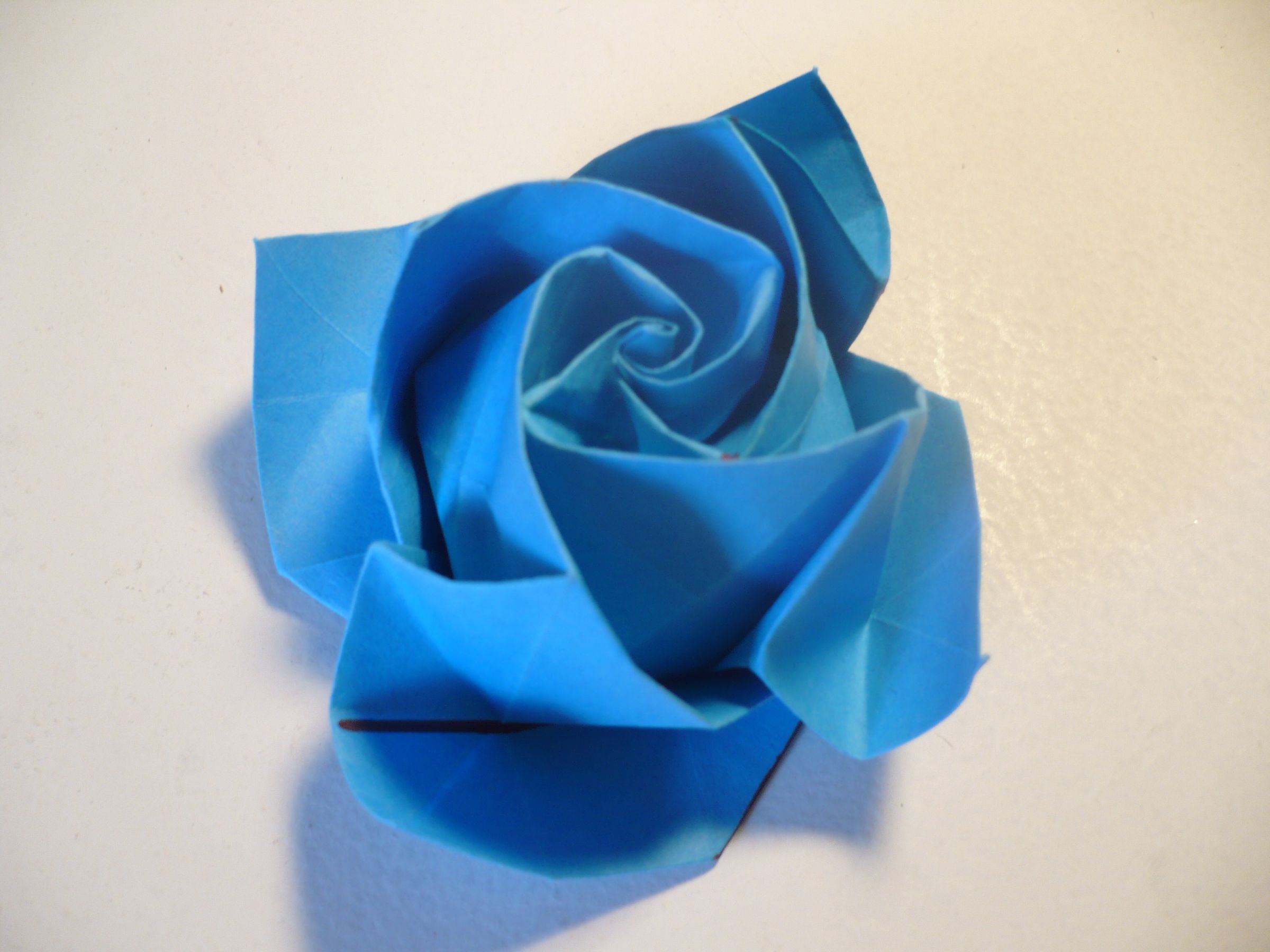 Origami Rose in Bloom : 11 Steps (with Pictures) - Instructables