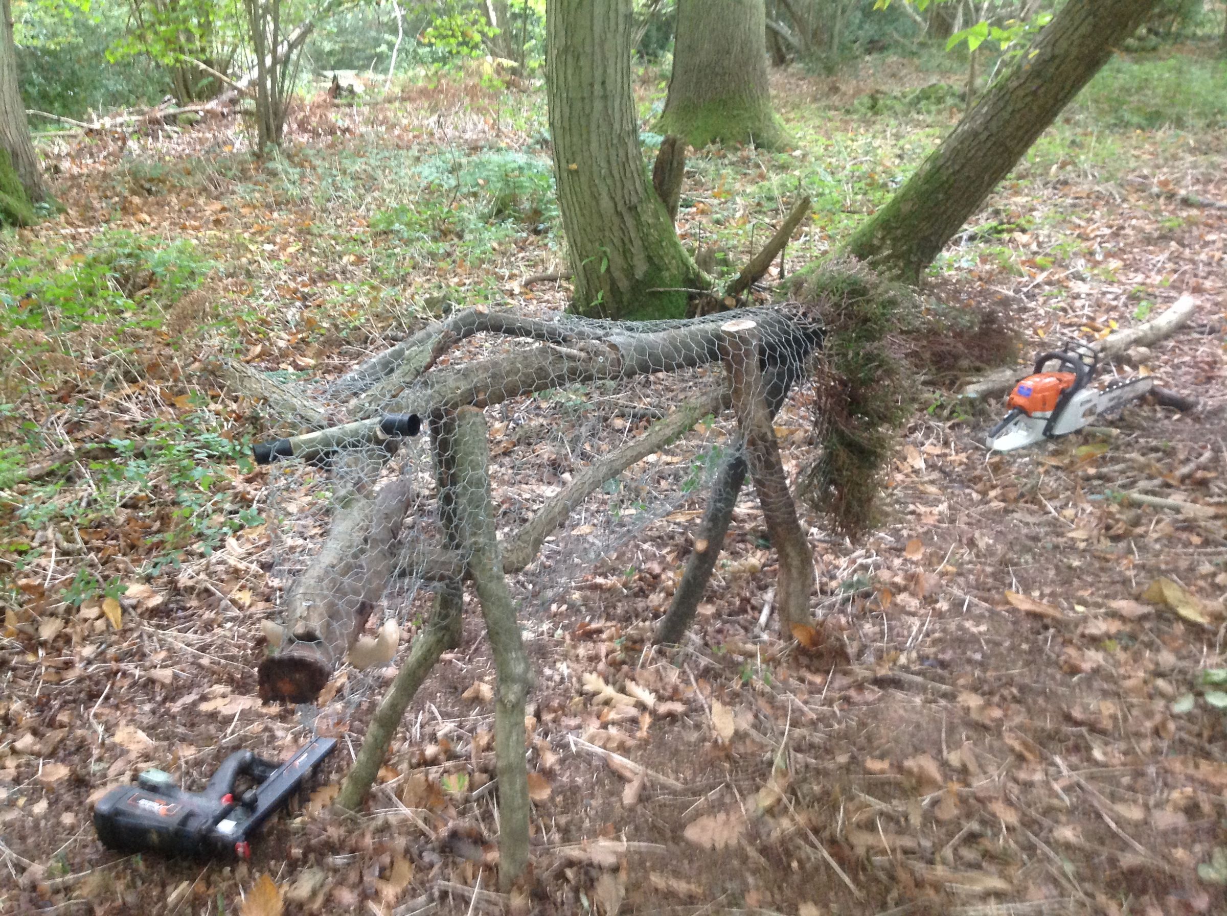 Wild Boar!!!!! : 6 Steps (with Pictures) - Instructables