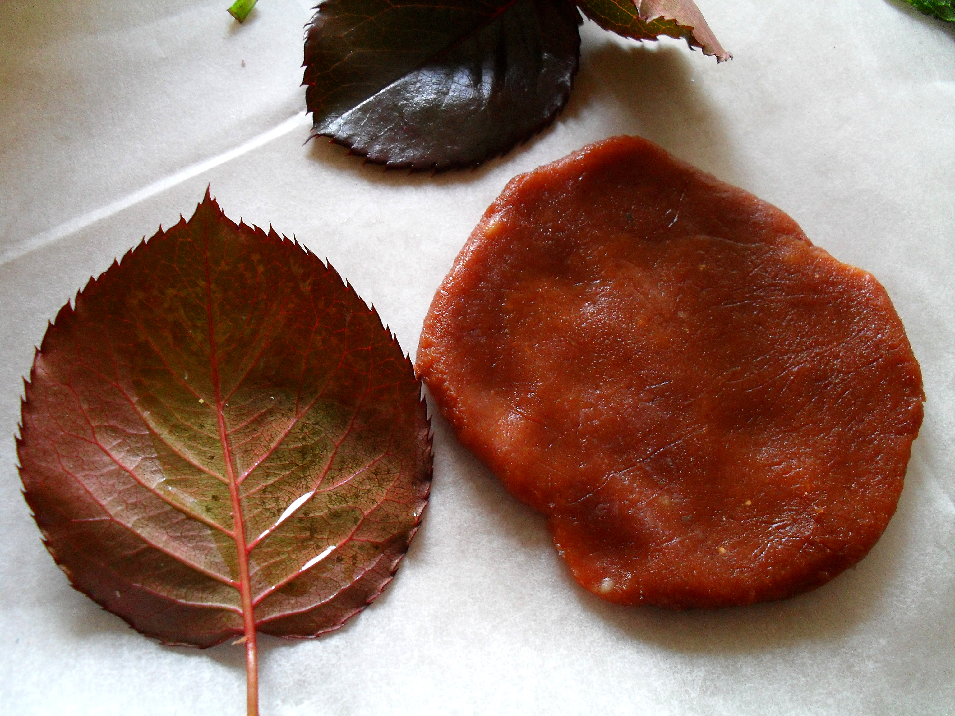 Easy Mold Making : 3 Steps (with Pictures) - Instructables