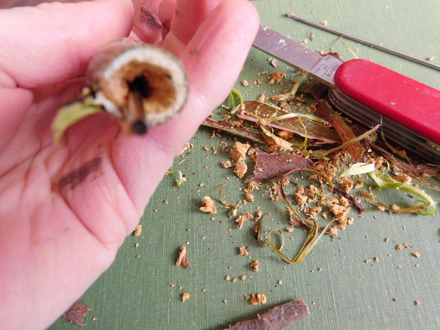 How to Make a Spile(for Collecting Sap) : 6 Steps (with Pictures ...