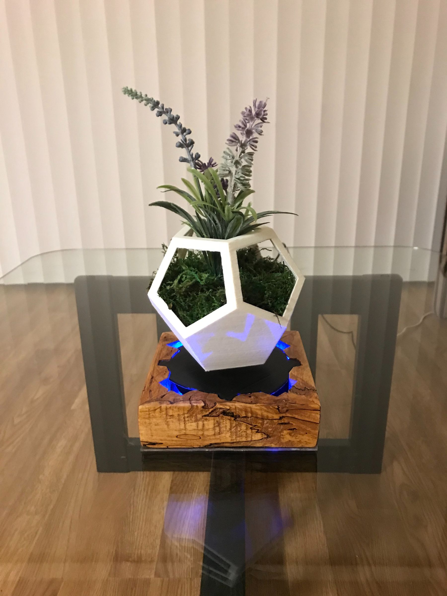 Magnetic Levitating Flower Pot : 4 Steps (with Pictures) - Instructables