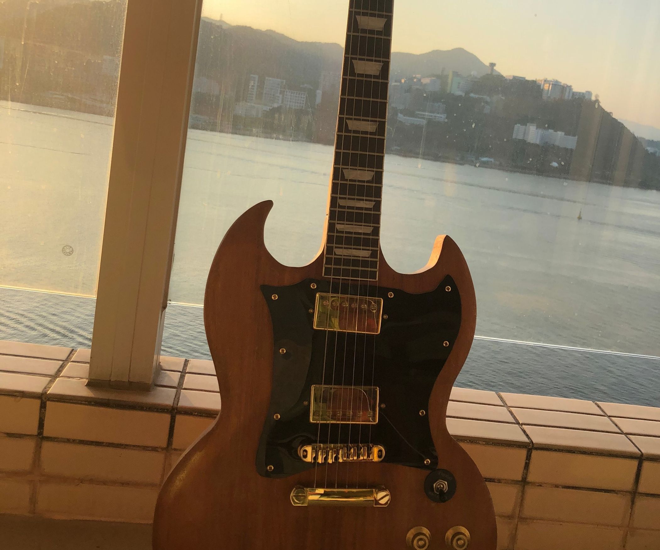 Gibson SG Style Guitar Build - My First Guitar Project : 12 Steps ...