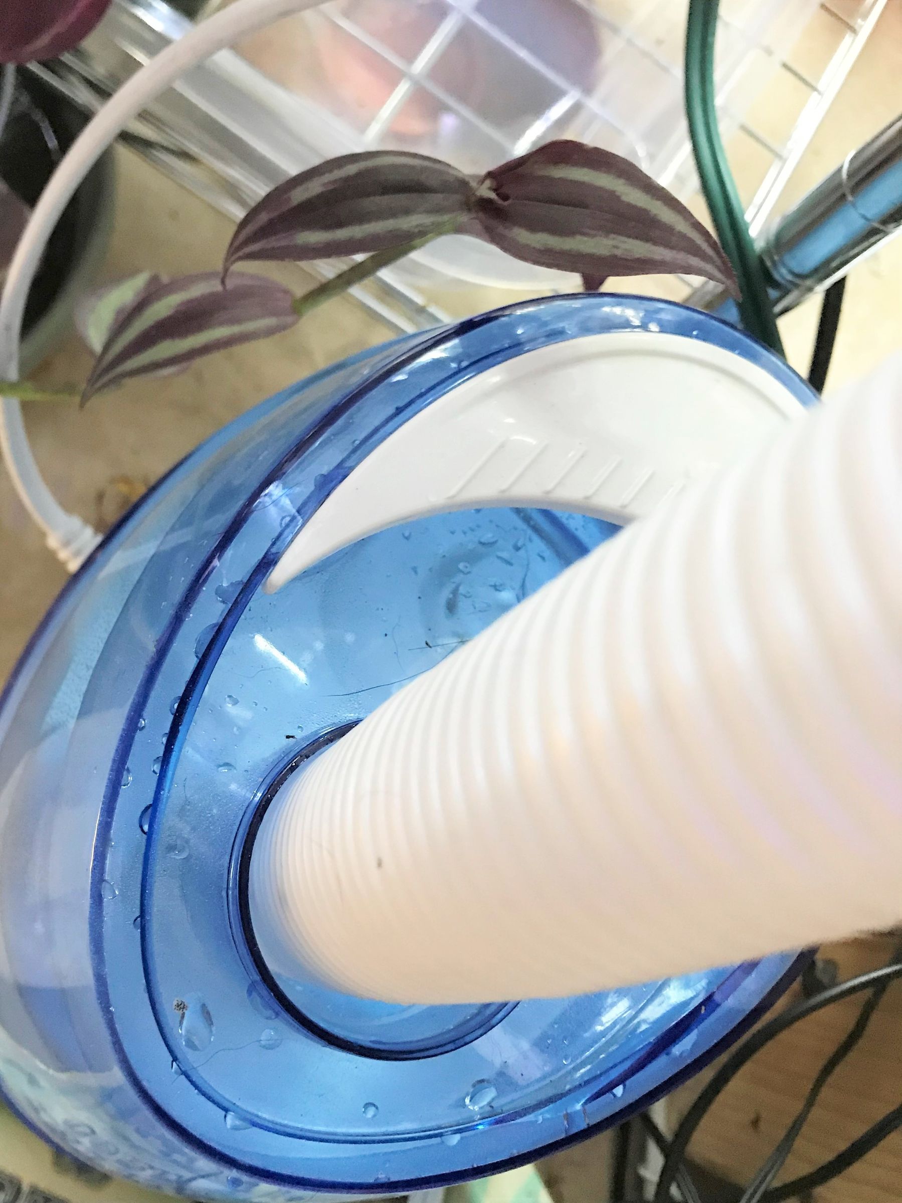 Humidity and Temperature Control System for Terrarium : 11 Steps (with ...